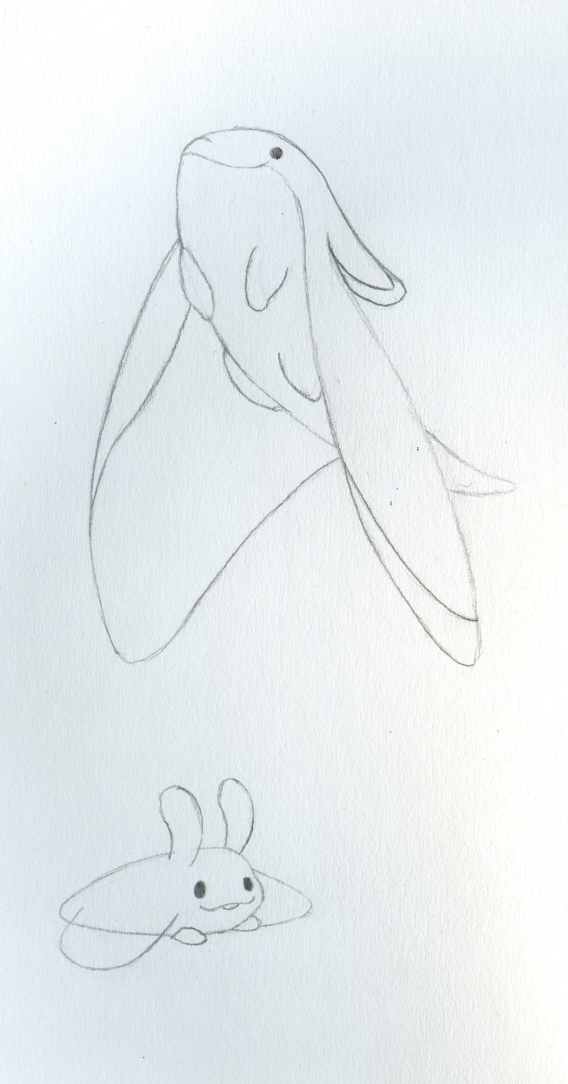 ArtStation - Amphibious Creature