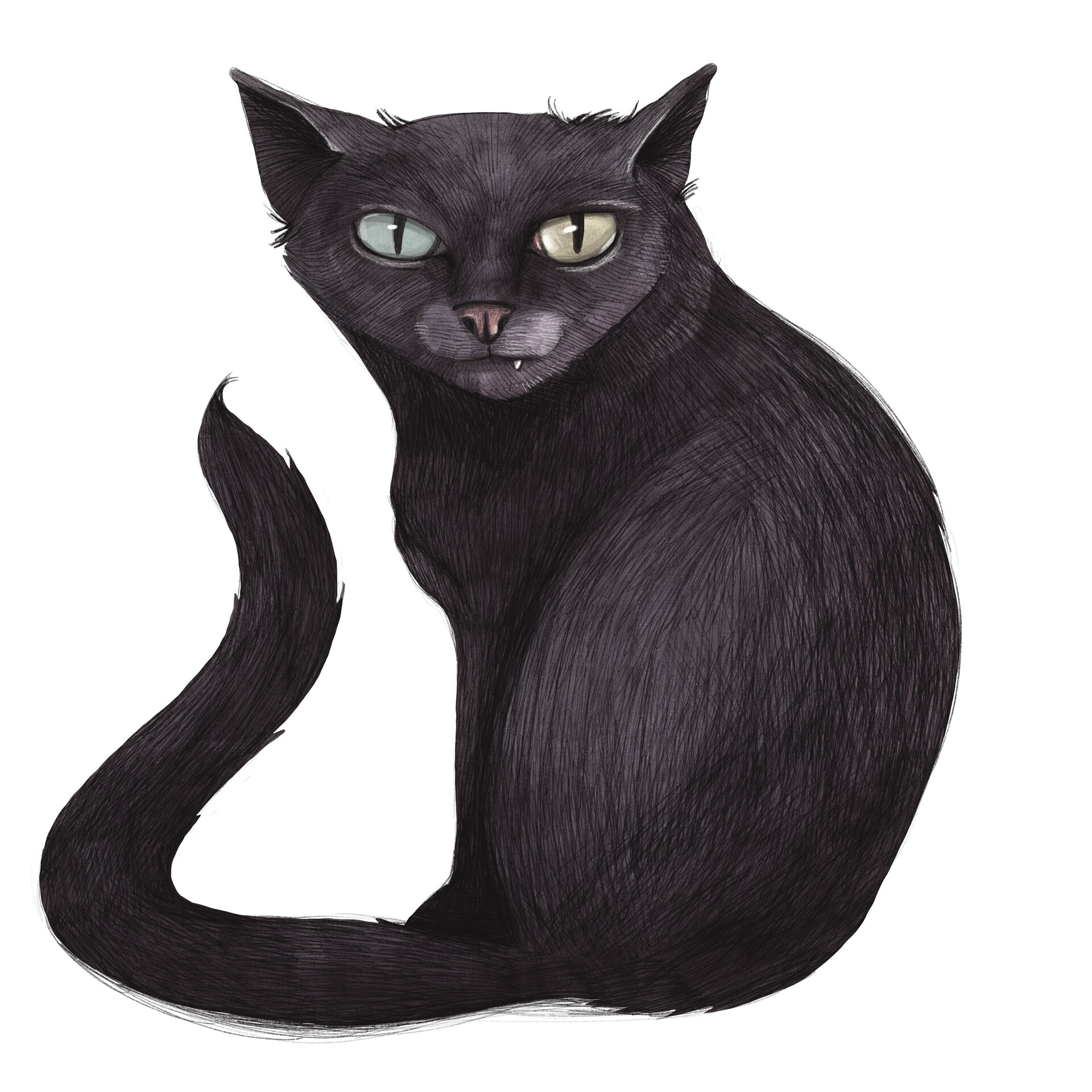 ArtStation - The witches cat