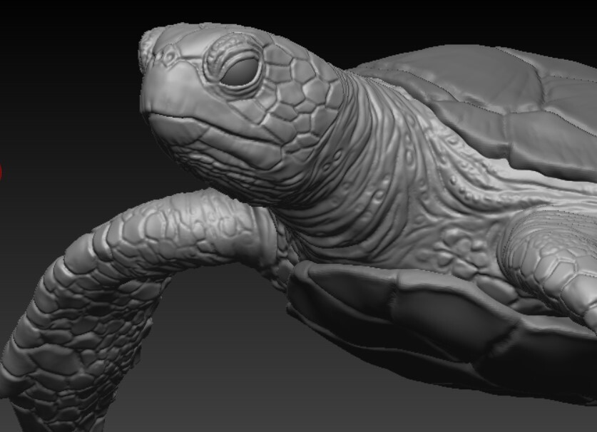 ArtStation - Green Turtle Zbrush Sculpture WIP