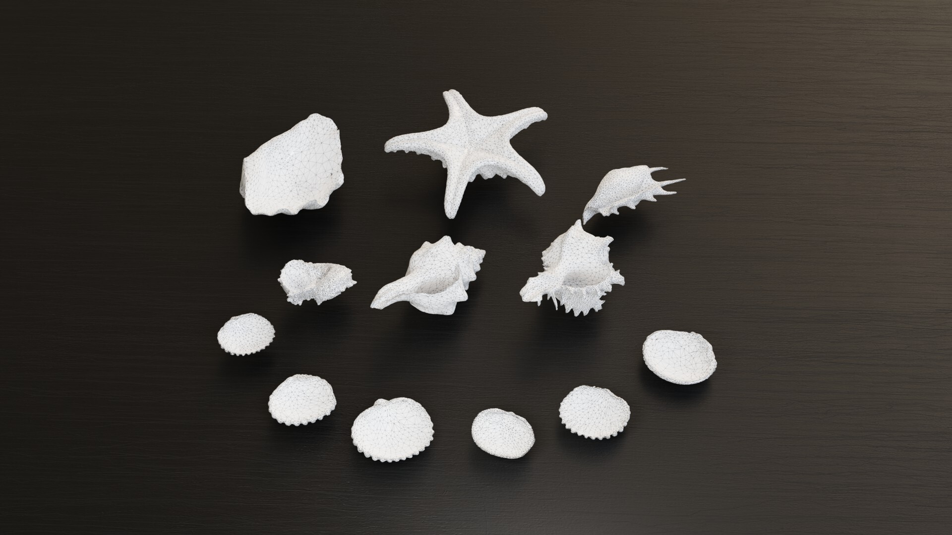 Philip Mistriotis - Seashell Bundle Photoscanned