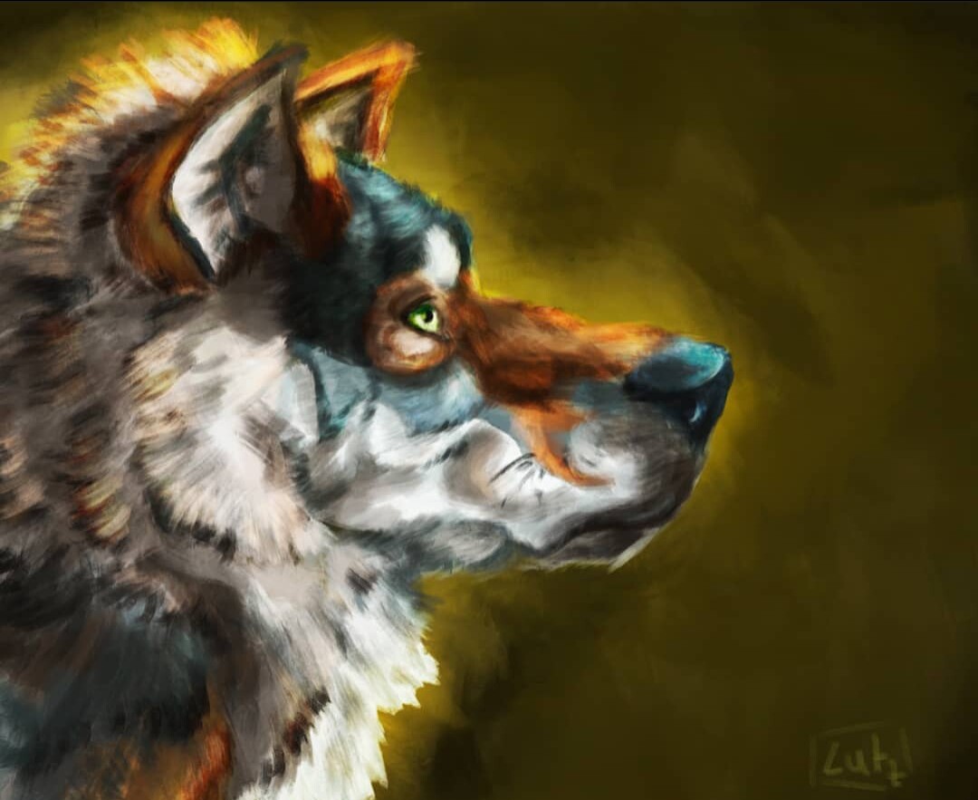 ArtStation - Wolf design