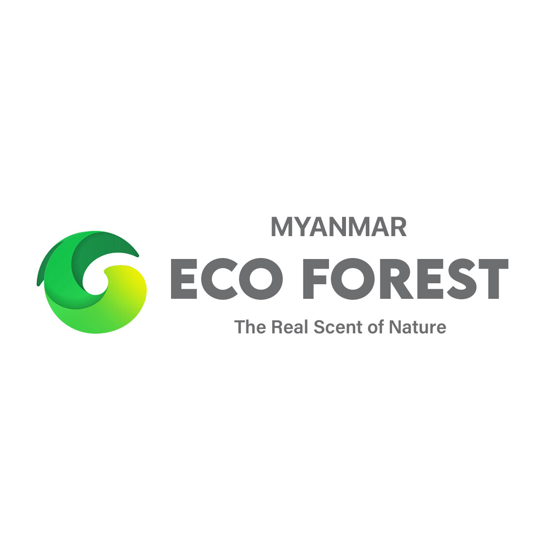 ArtStation - Eco Forest Logo