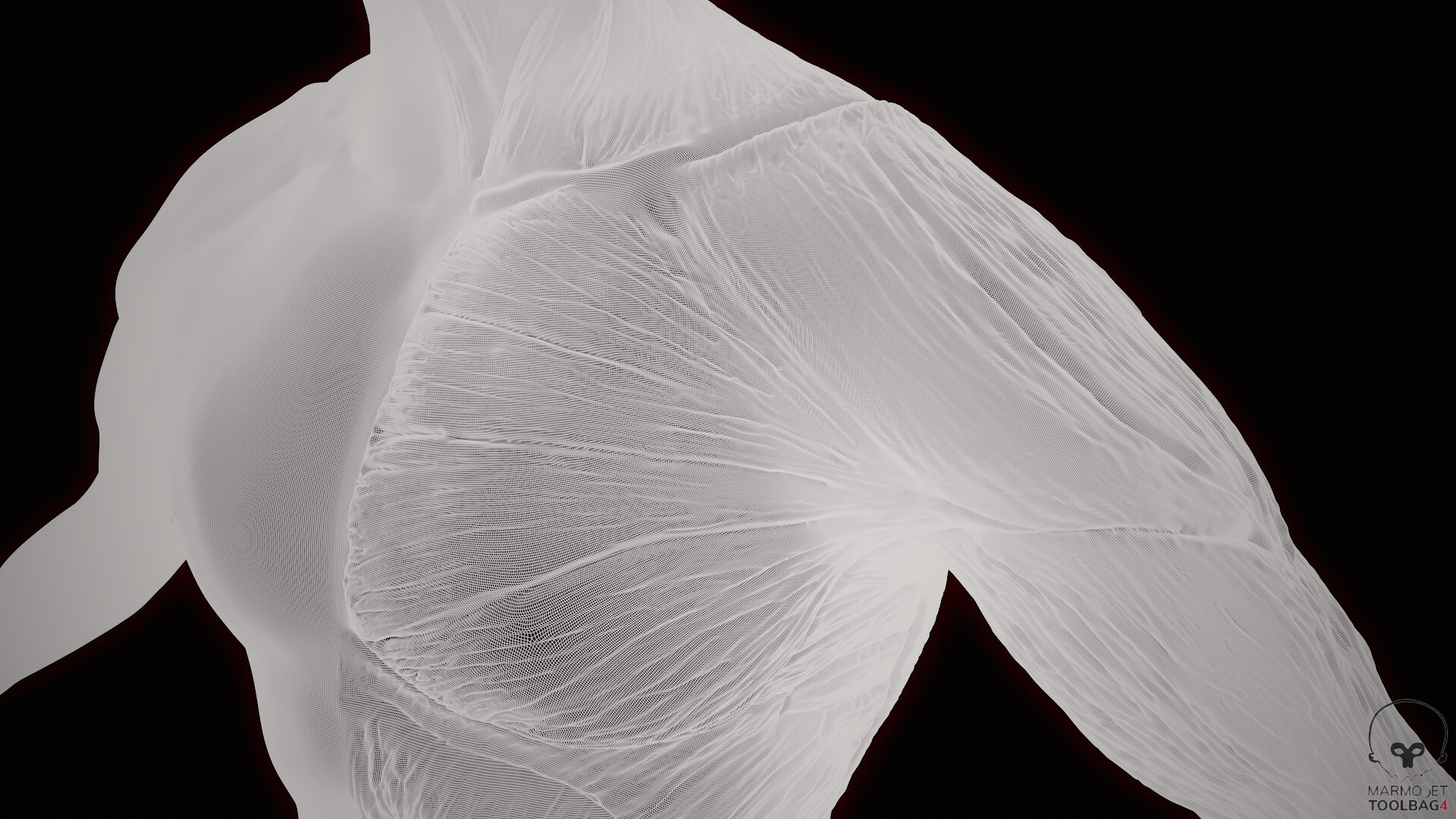 Christopher Matherne - Human Male Ecorche