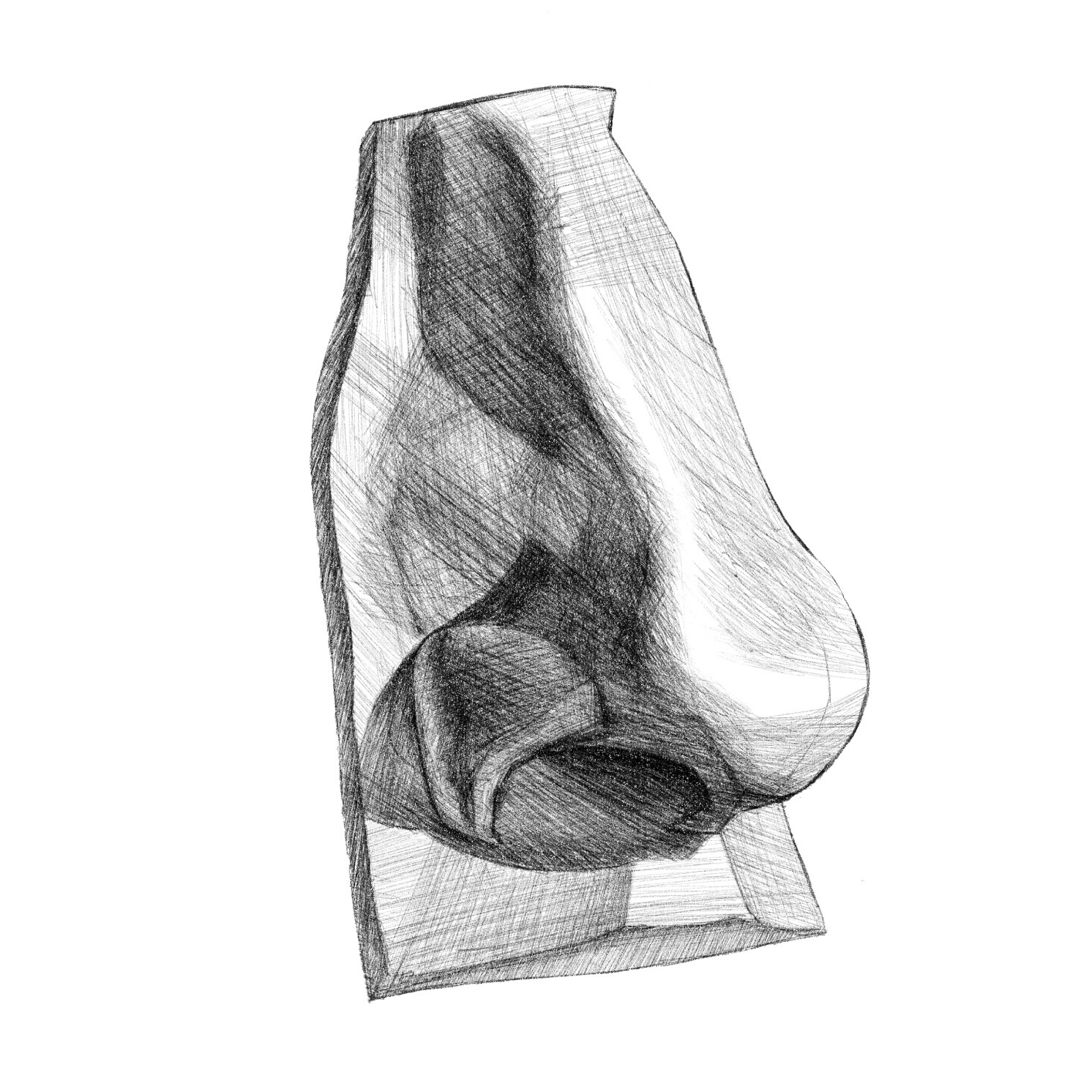 ArtStation - Cast of David's Nose #1