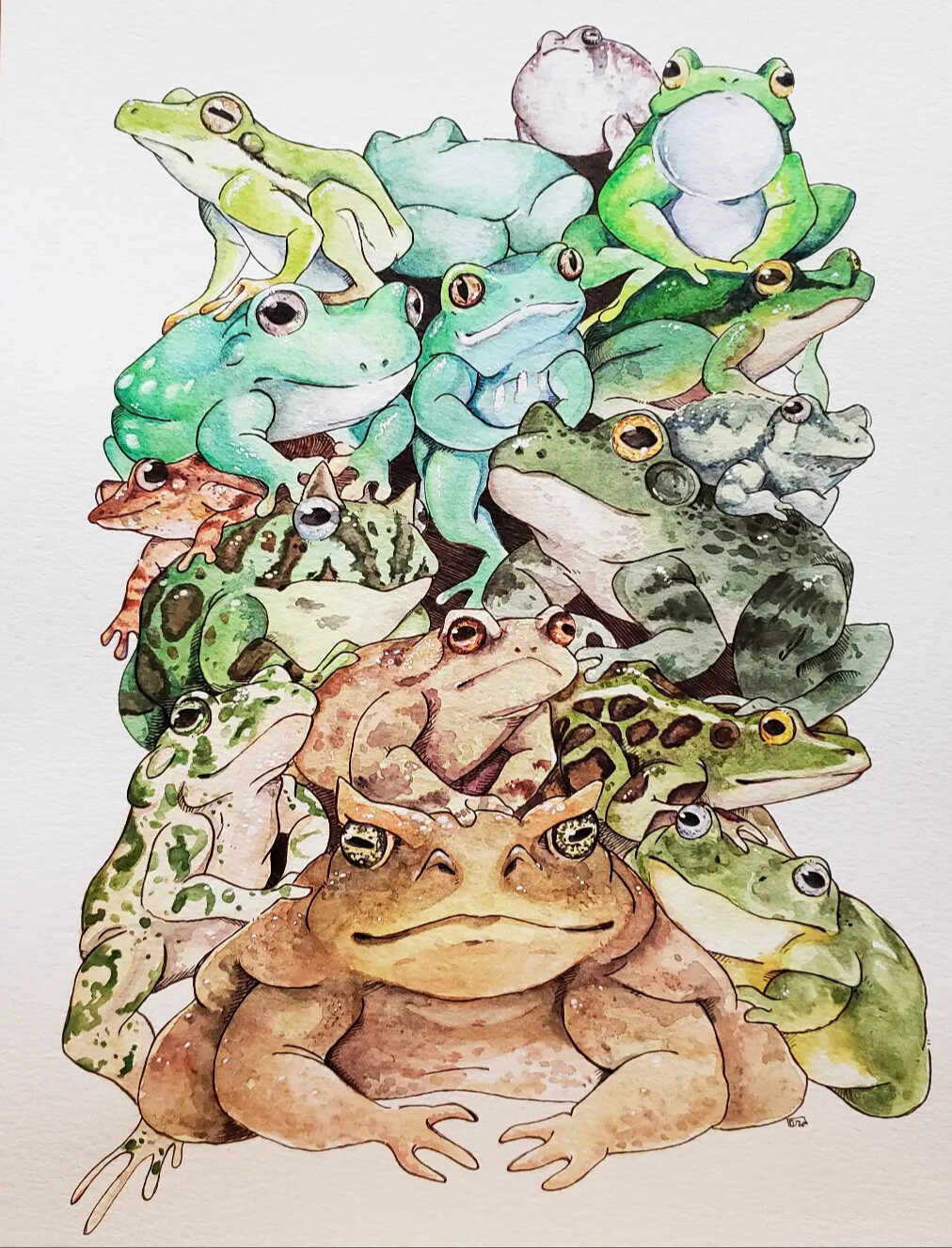 Drawing Group Of Toads