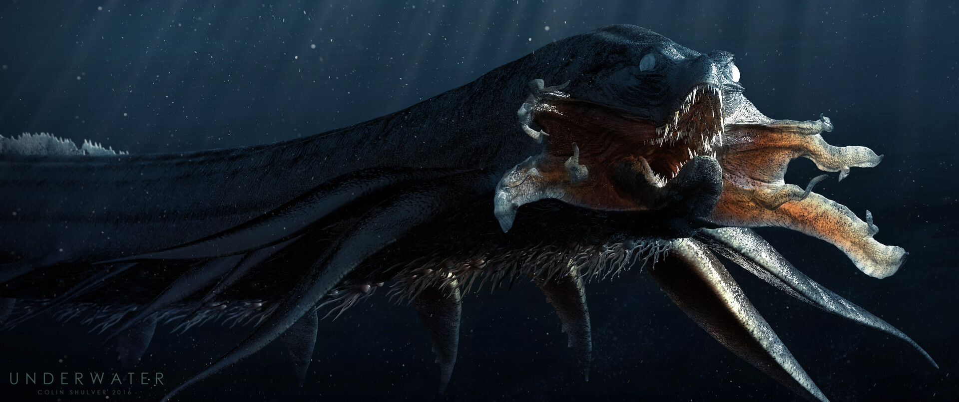 COLIN SHULVER - UNDERWATER