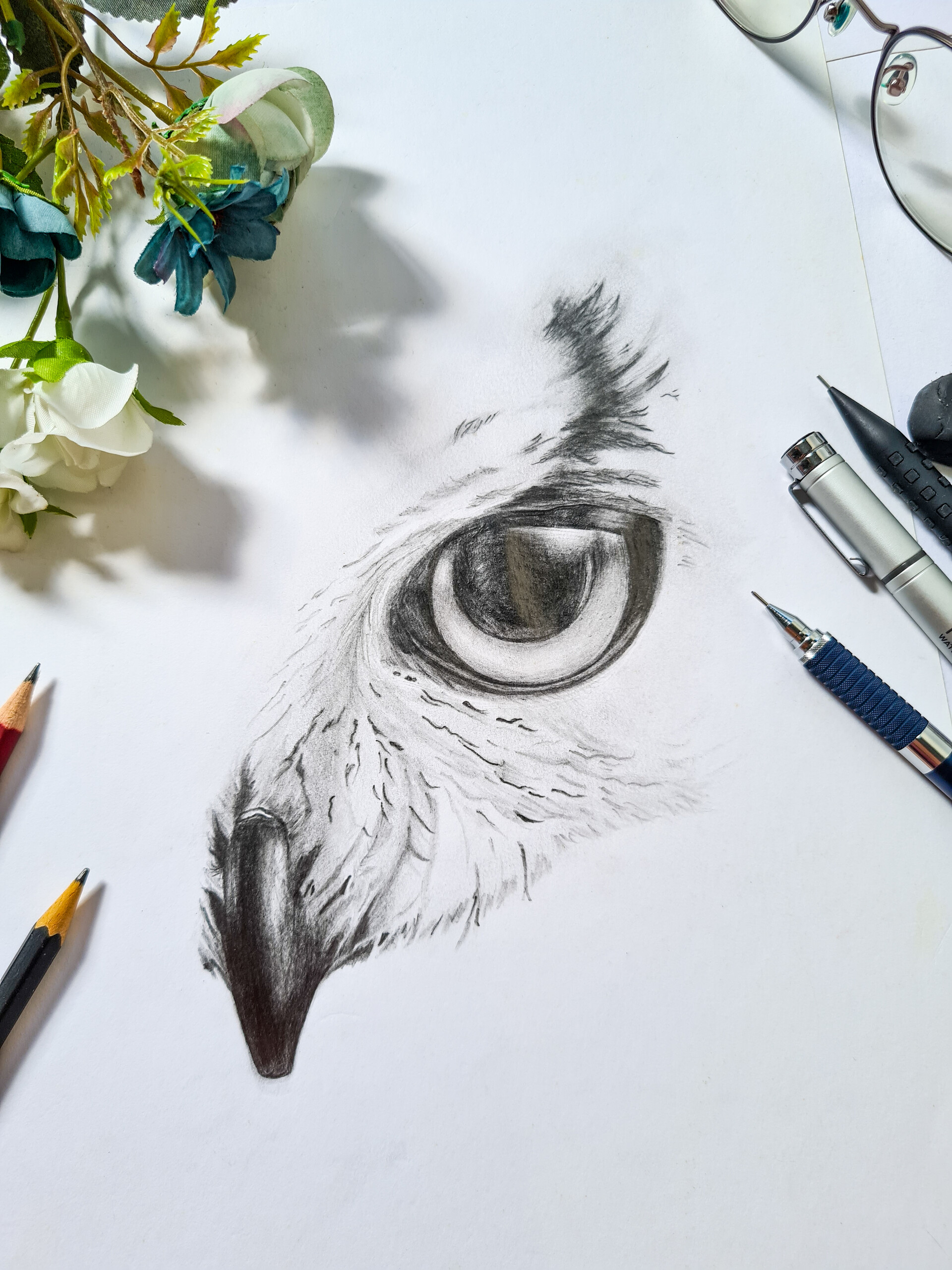 ArtStation - Owl Face sketch