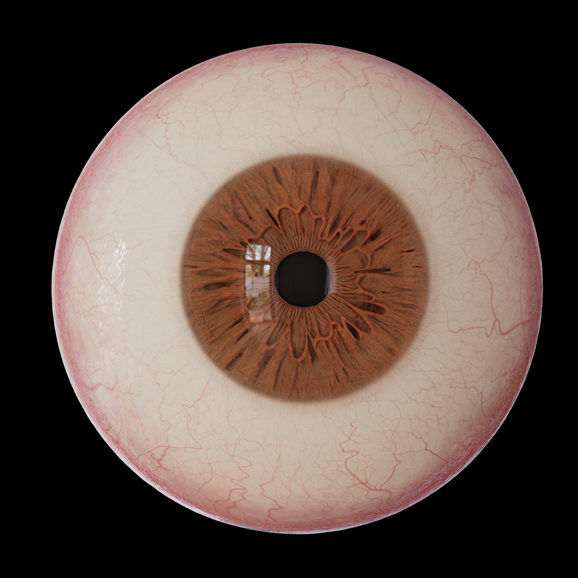 hamza ben salah - Realistic Human Eye ball