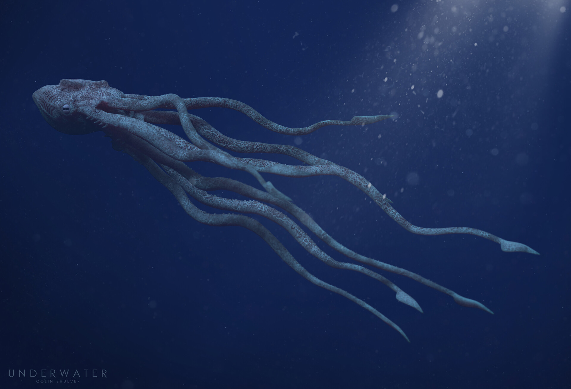 COLIN SHULVER - UNDERWATER