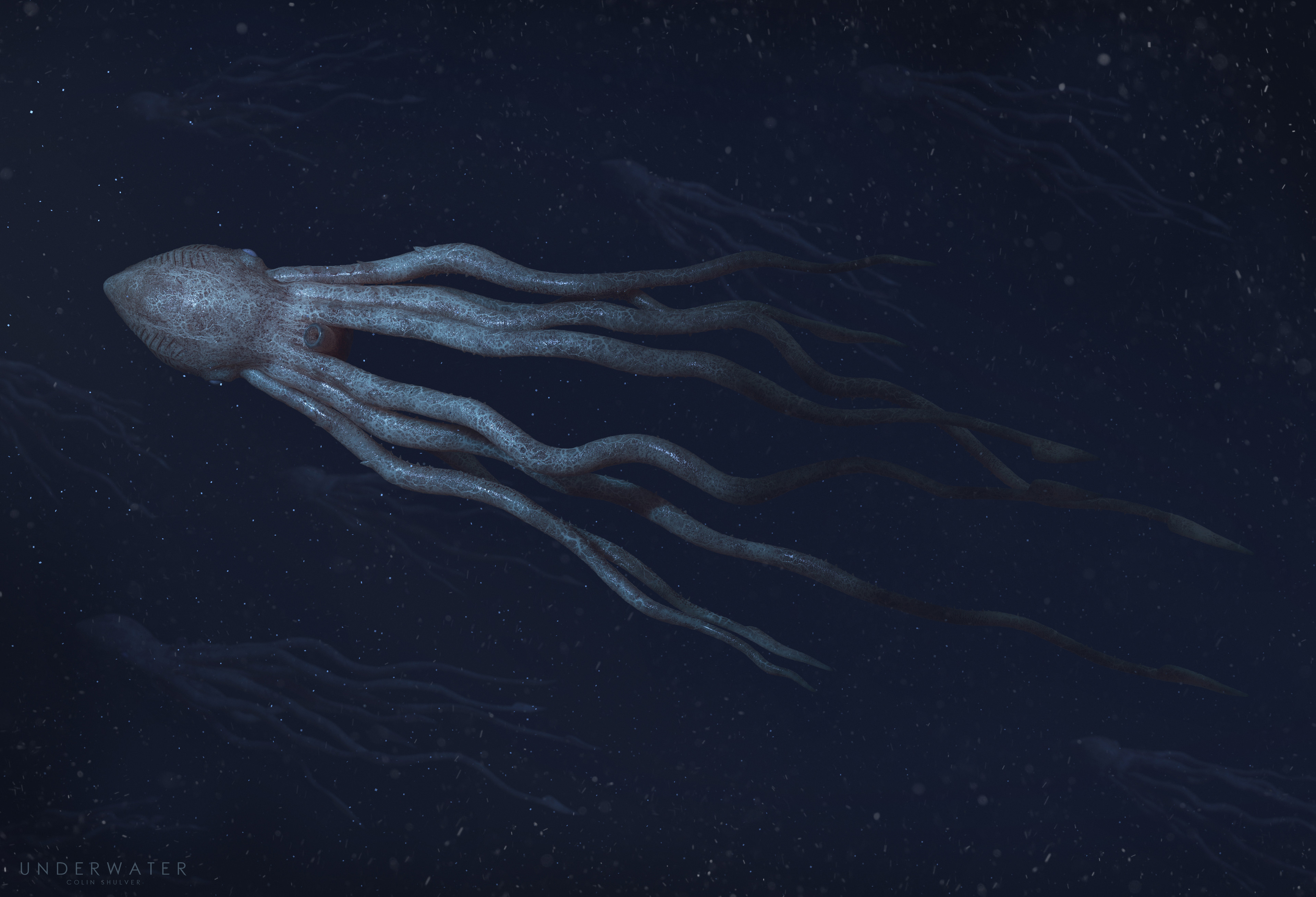 COLIN SHULVER - UNDERWATER