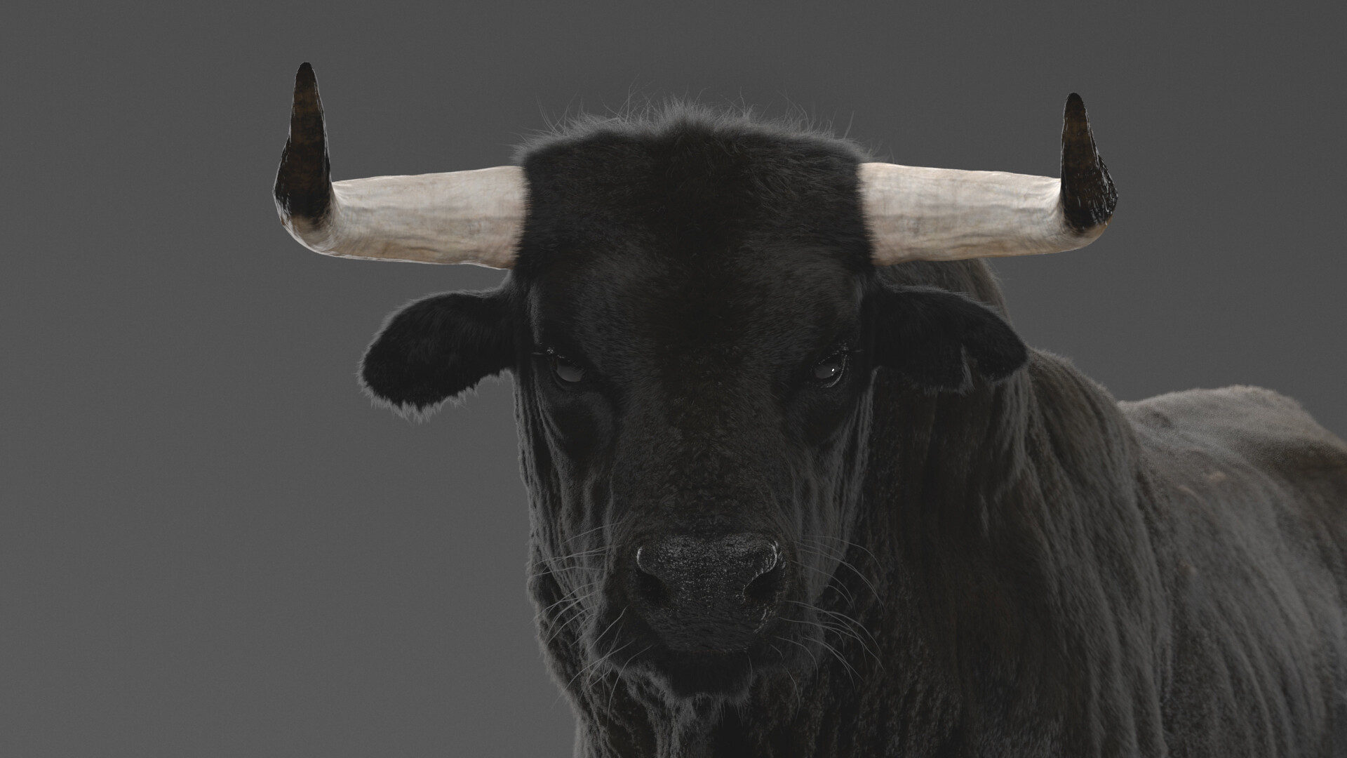 ArtStation - Bull
