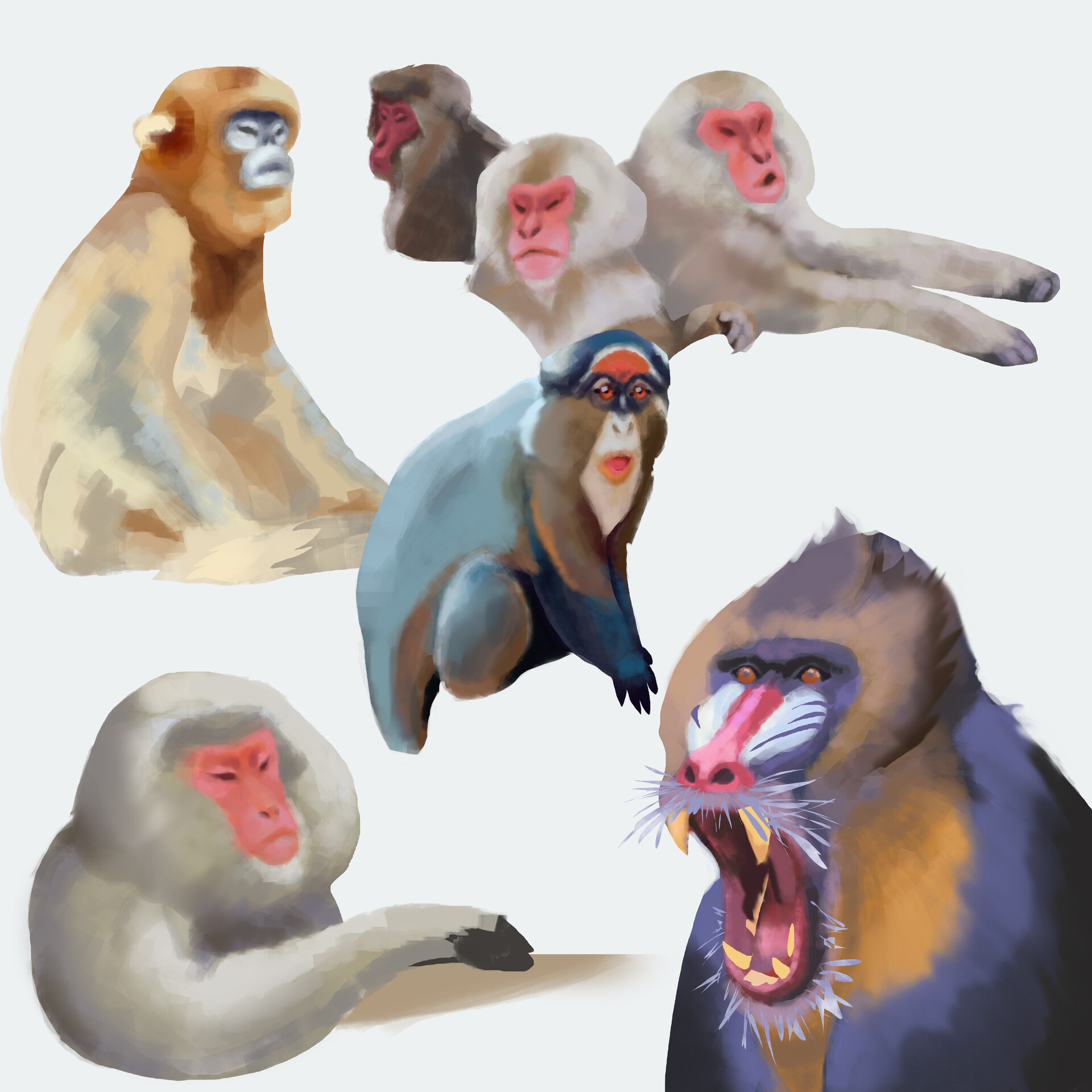 ArtStation - Monkeys
