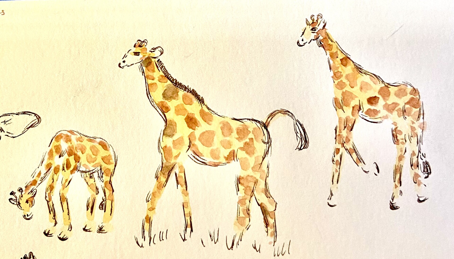 ArtStation - Giraffe sketches 5-16-22