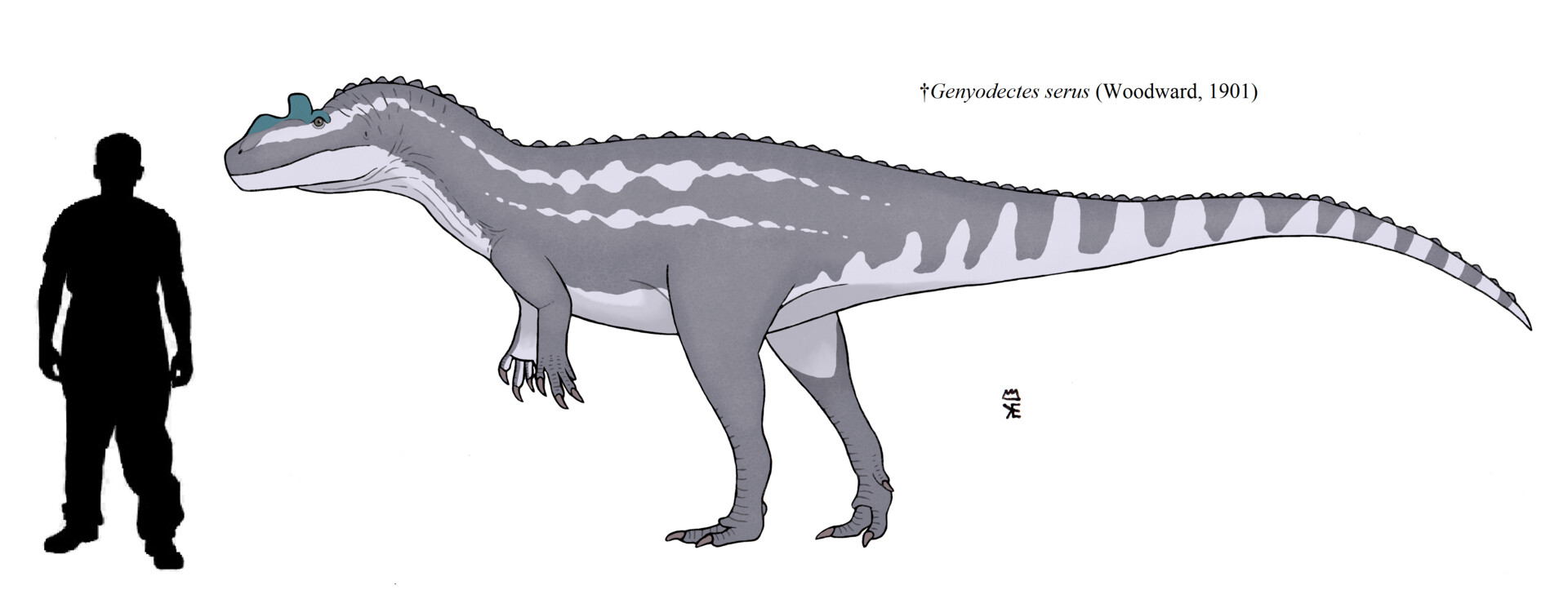 Thomas Sutton - Genyodectes serus