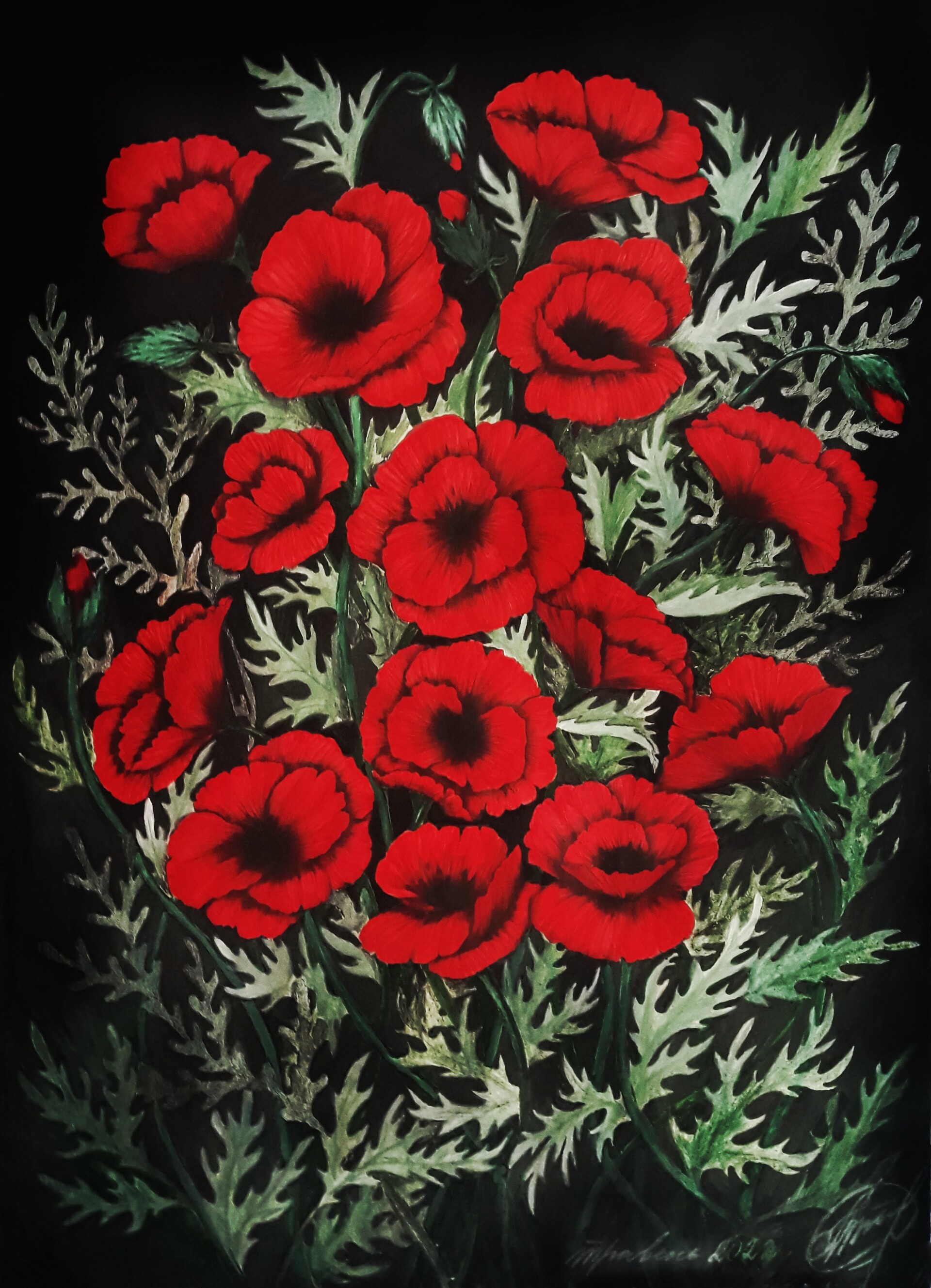 ArtStation - Red poppy