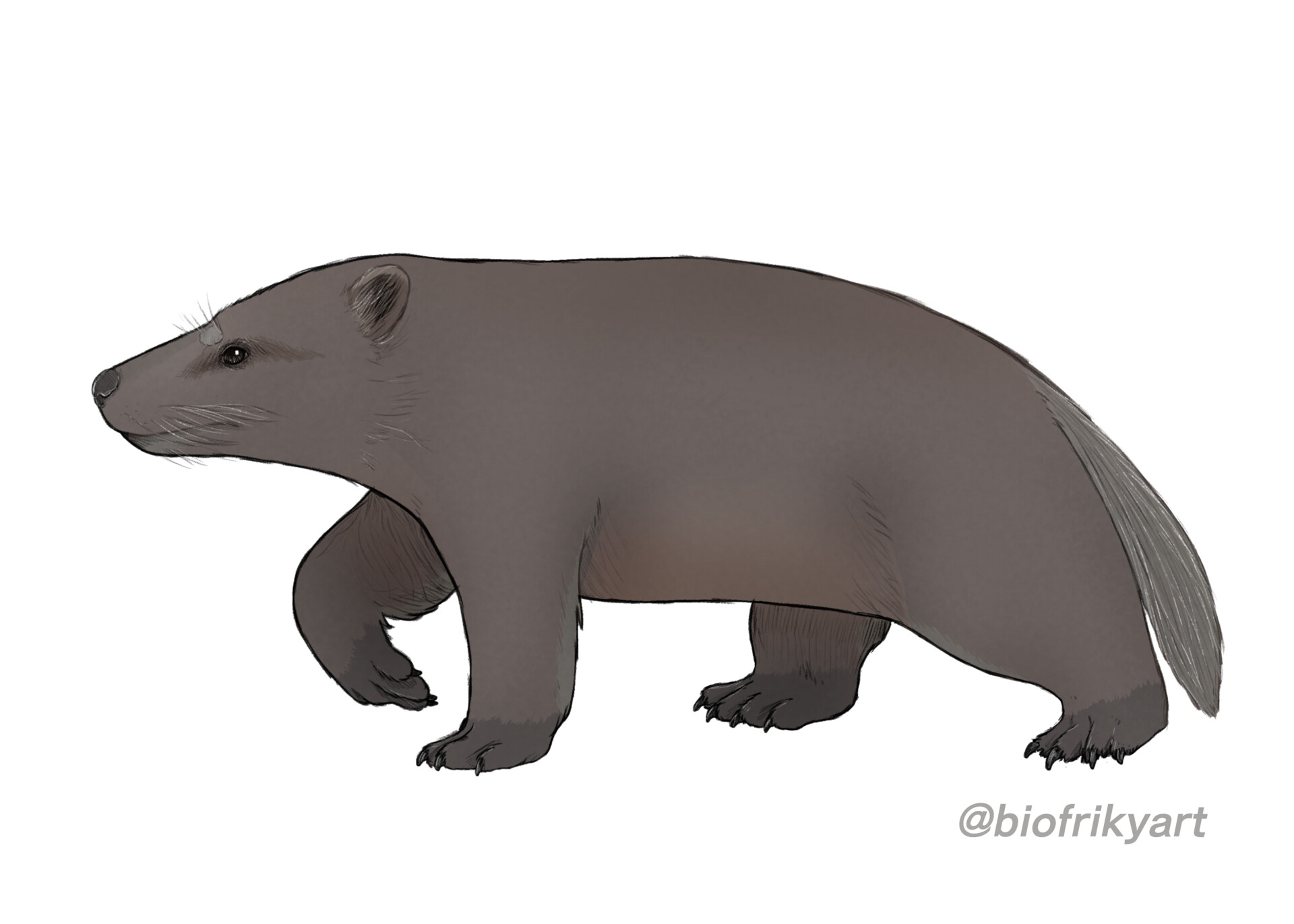 ArtStation - Oxlestes & Steropodon