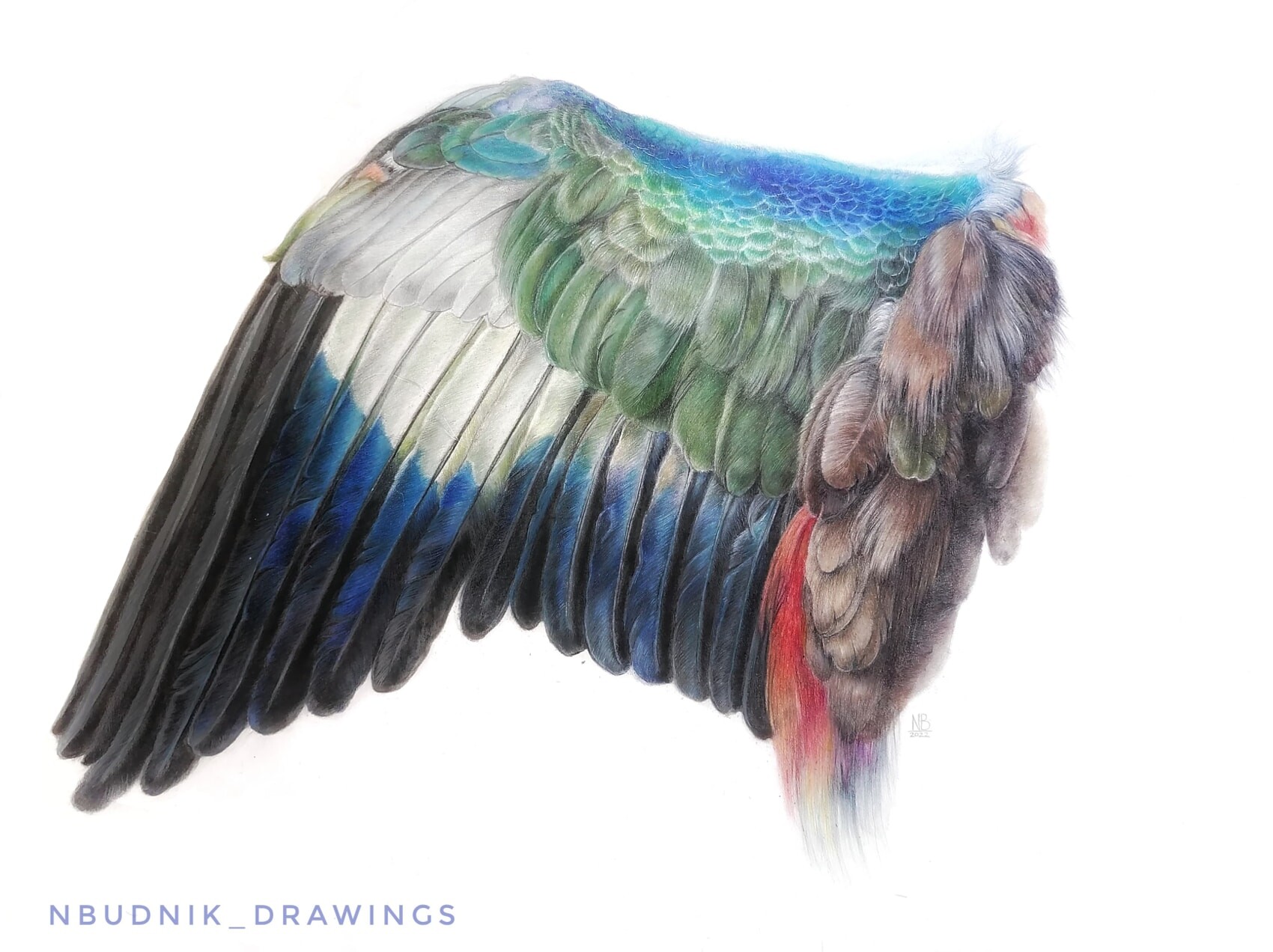 ArtStation - Wing of Blue Roller