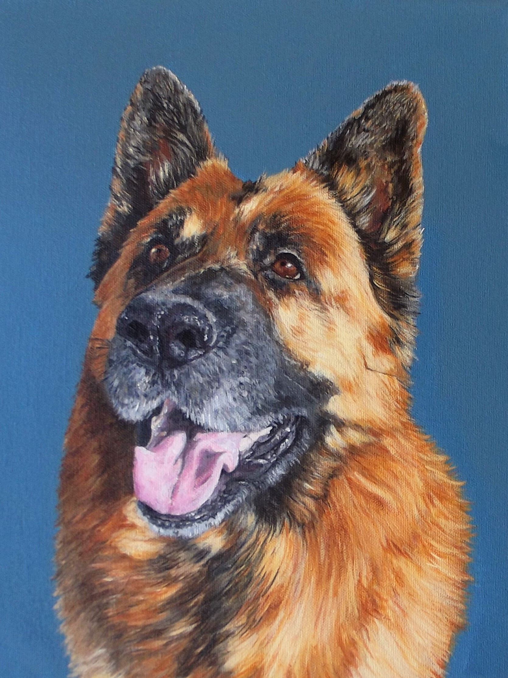 ArtStation - German Shepherd Pet Portrait