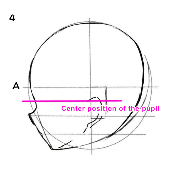 Anime Art Academy - Drawing the face in profile – Part 1