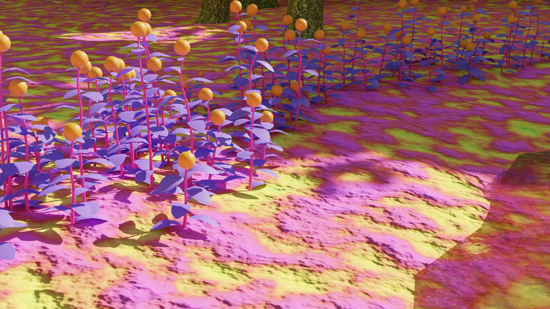 Daniel Hong - Four Season Wonders