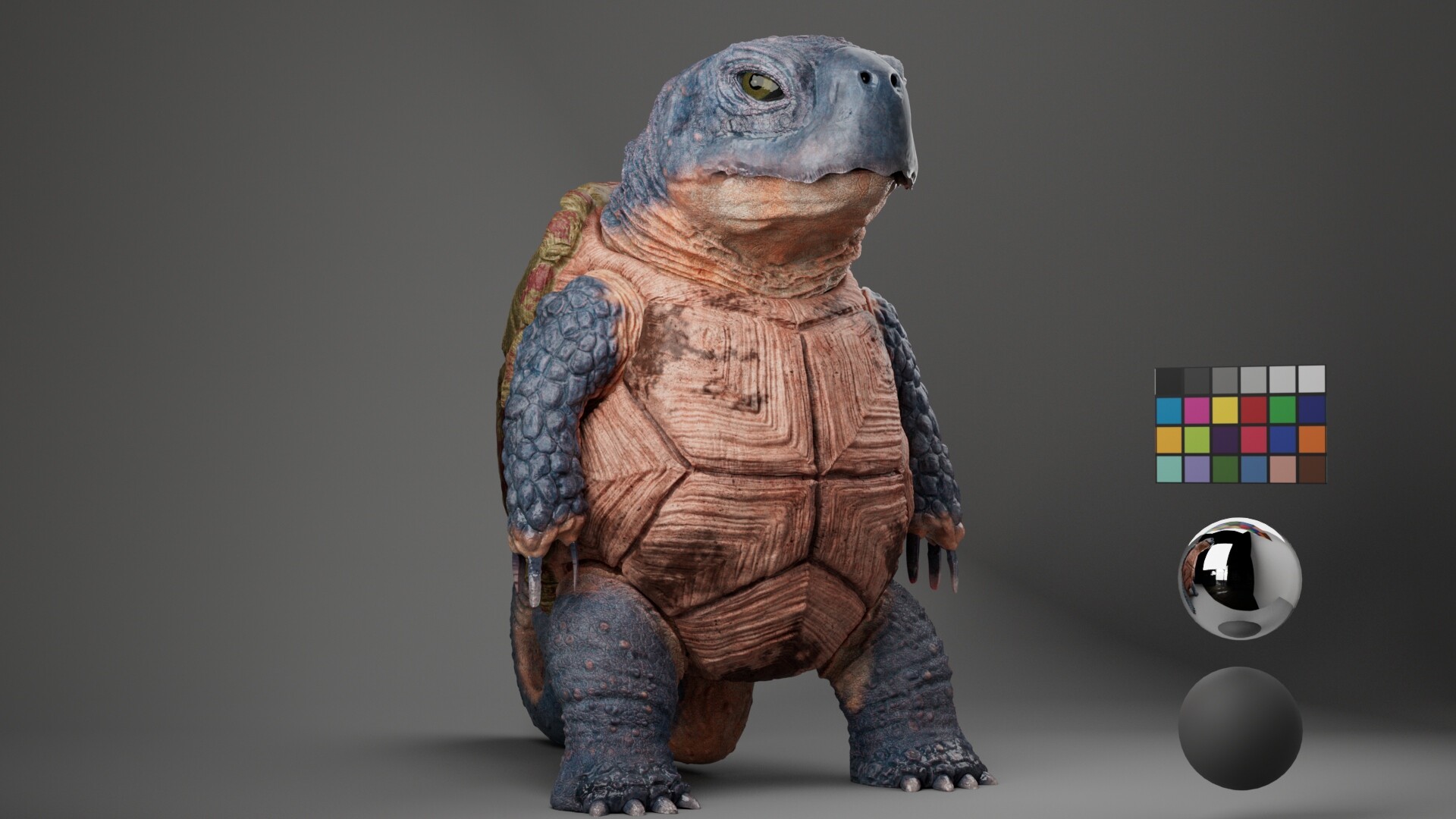 ArtStation - IRL Squirtle