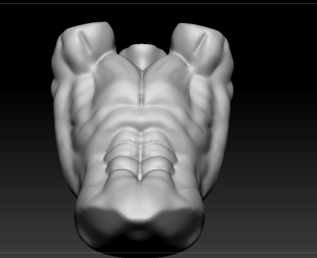 ArtStation - twist anatomy study