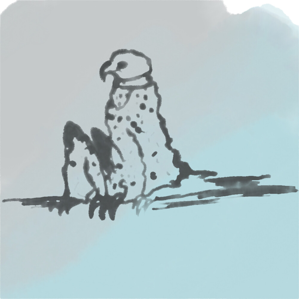 ArtStation - Birdman