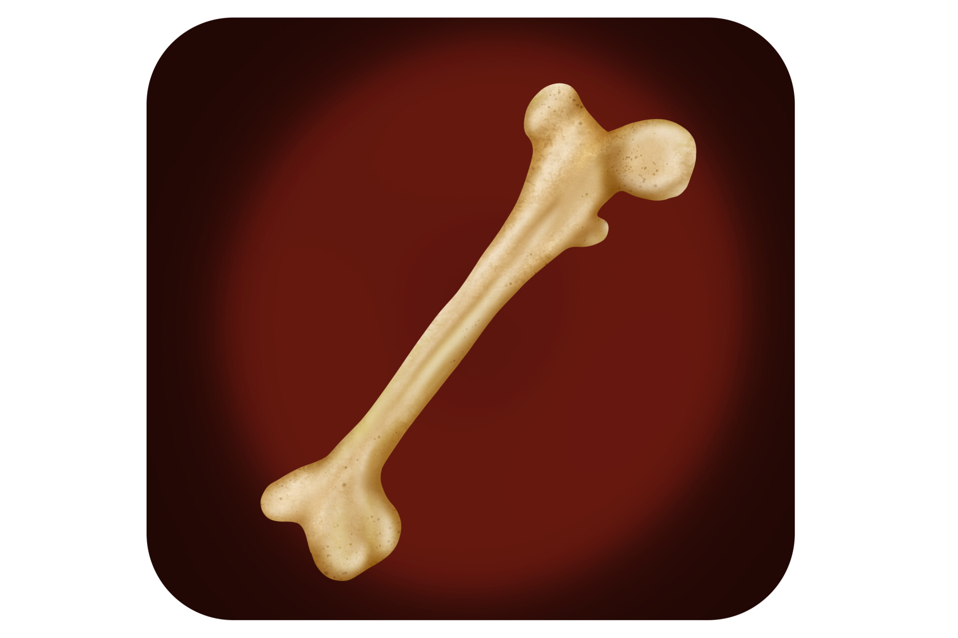 ArtStation - Human Bone