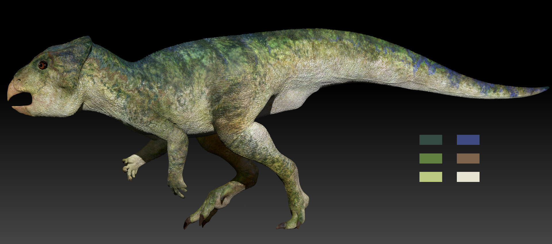 Cheung Chung Tat - Liaoceratops yanzigouensis