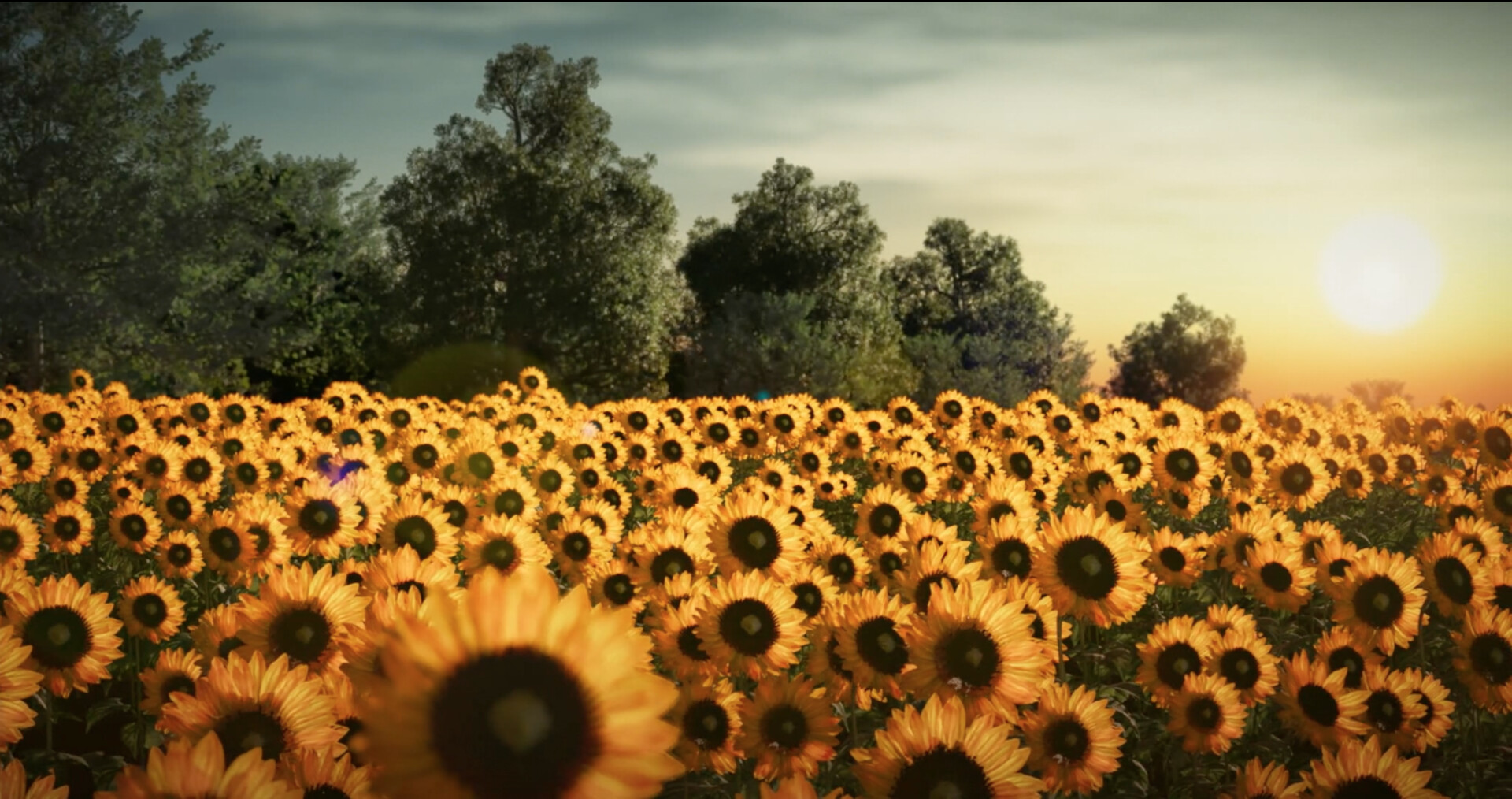 ArtStation - Sunflowers / Solar Panels
