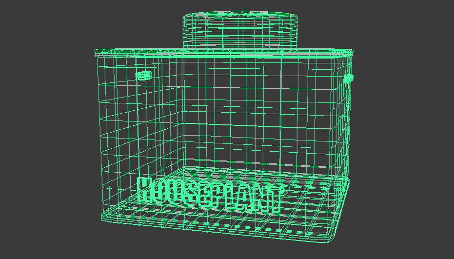 Katie Mines - Houseplant Promo