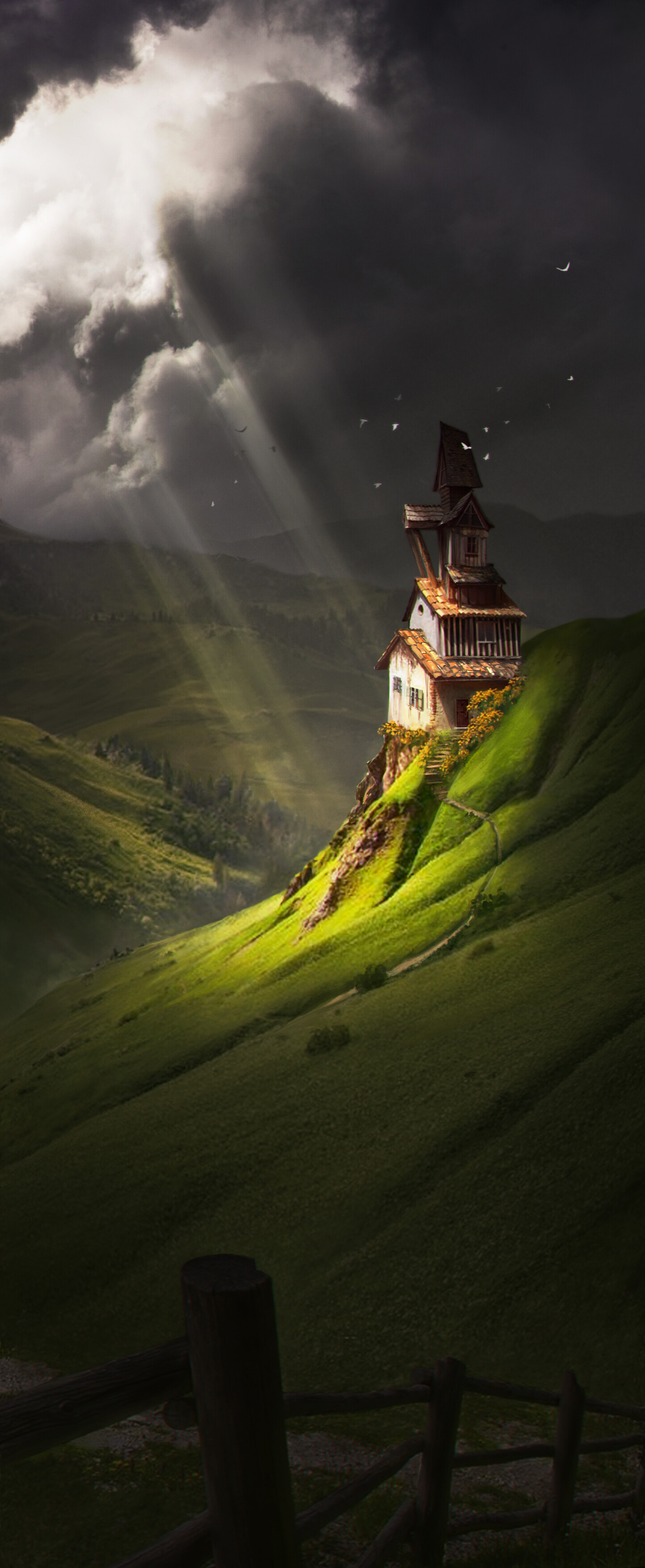 varvara-yaikova-4.jpg (1444×3508)-花瓣网