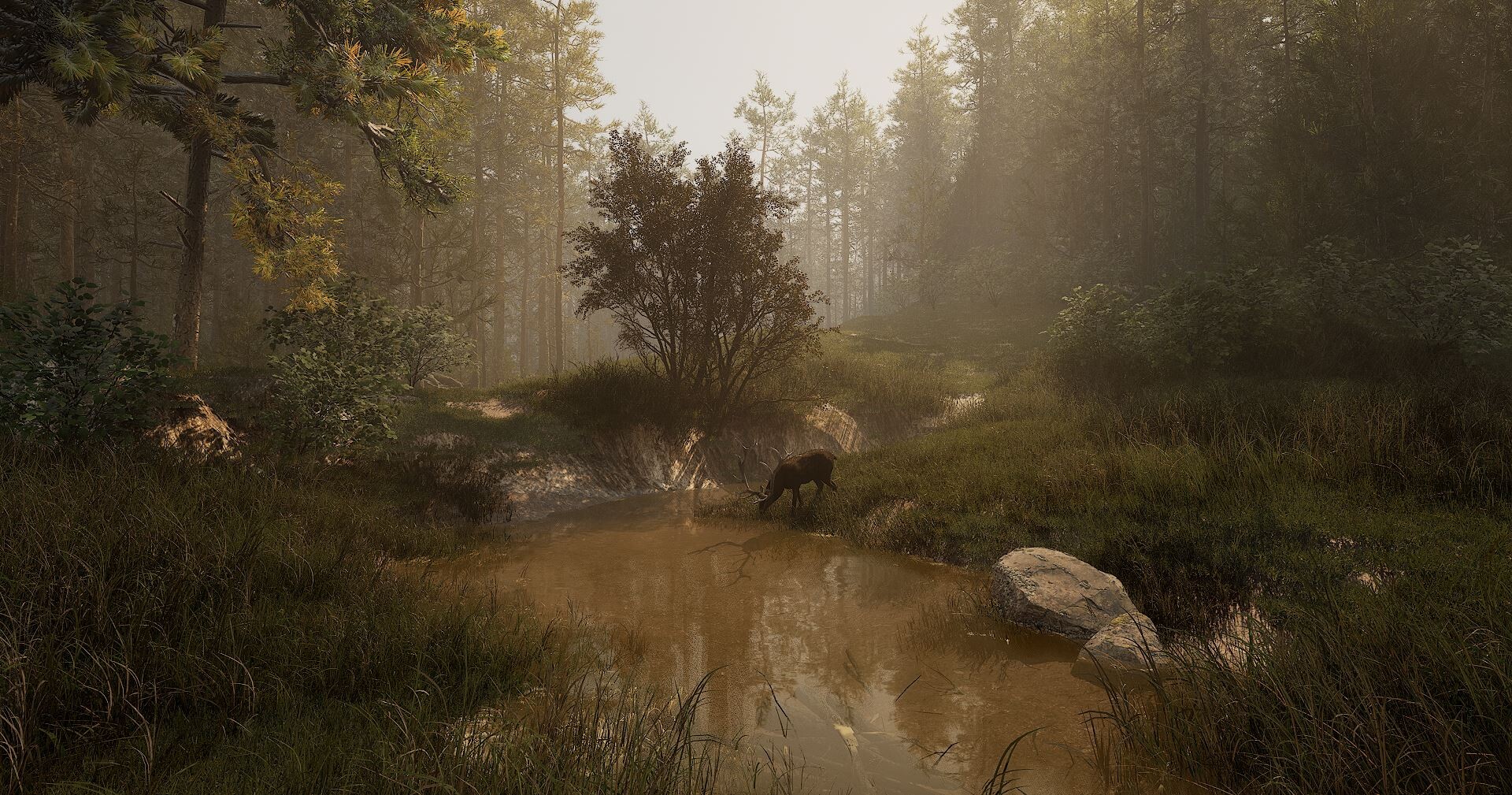 nikjas-adam-forest-ue5-by-nikjas-adam.jpg (1920×1009)-花瓣网