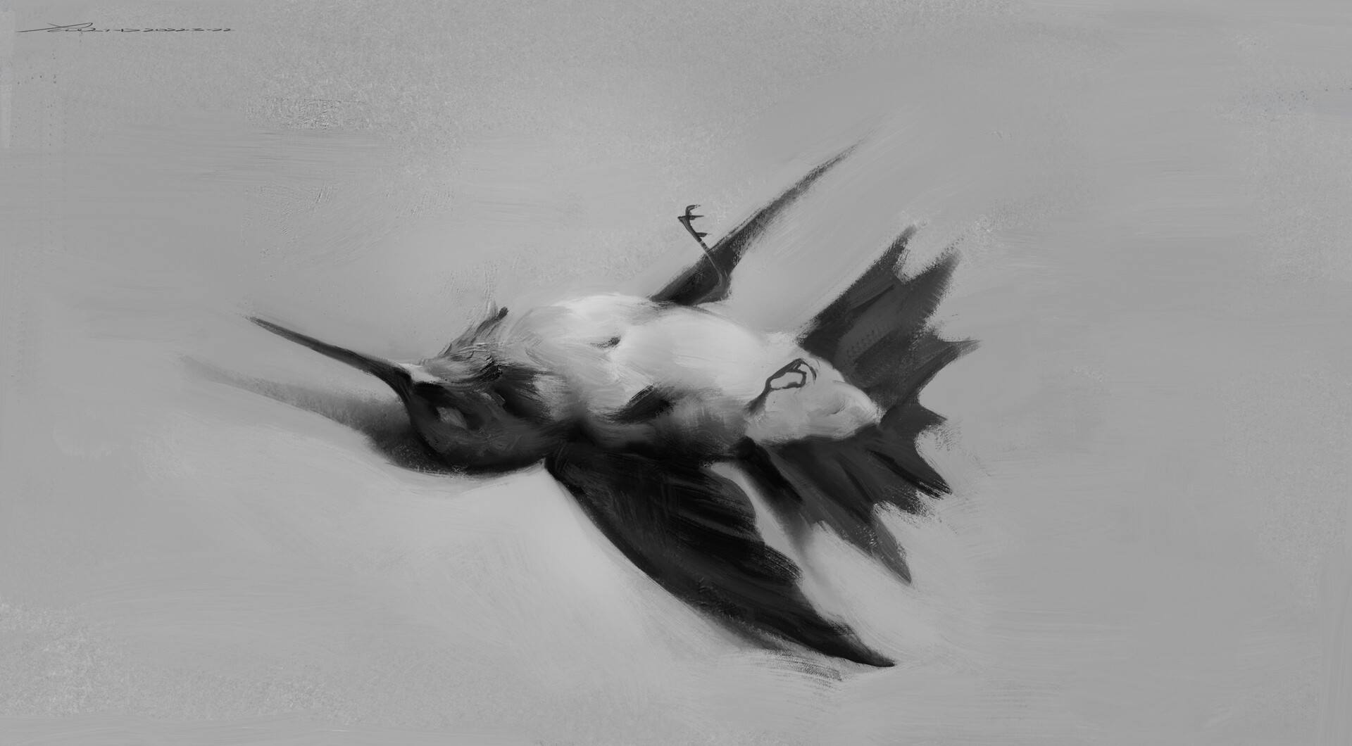ArtStation - Dead bird