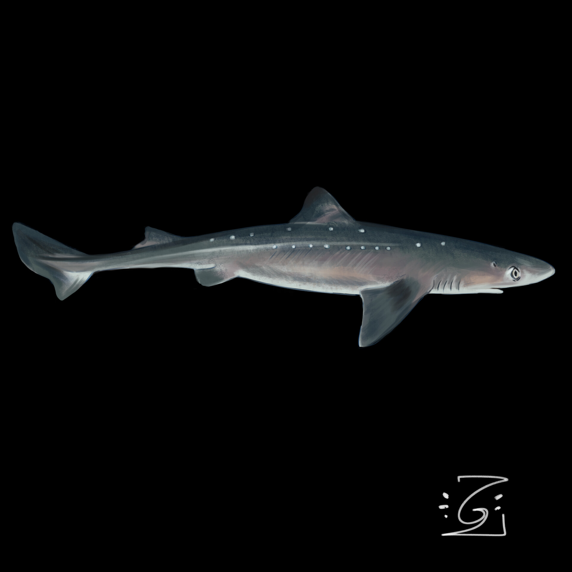 ArtStation - Button's menagerie of sea creatures (collection)