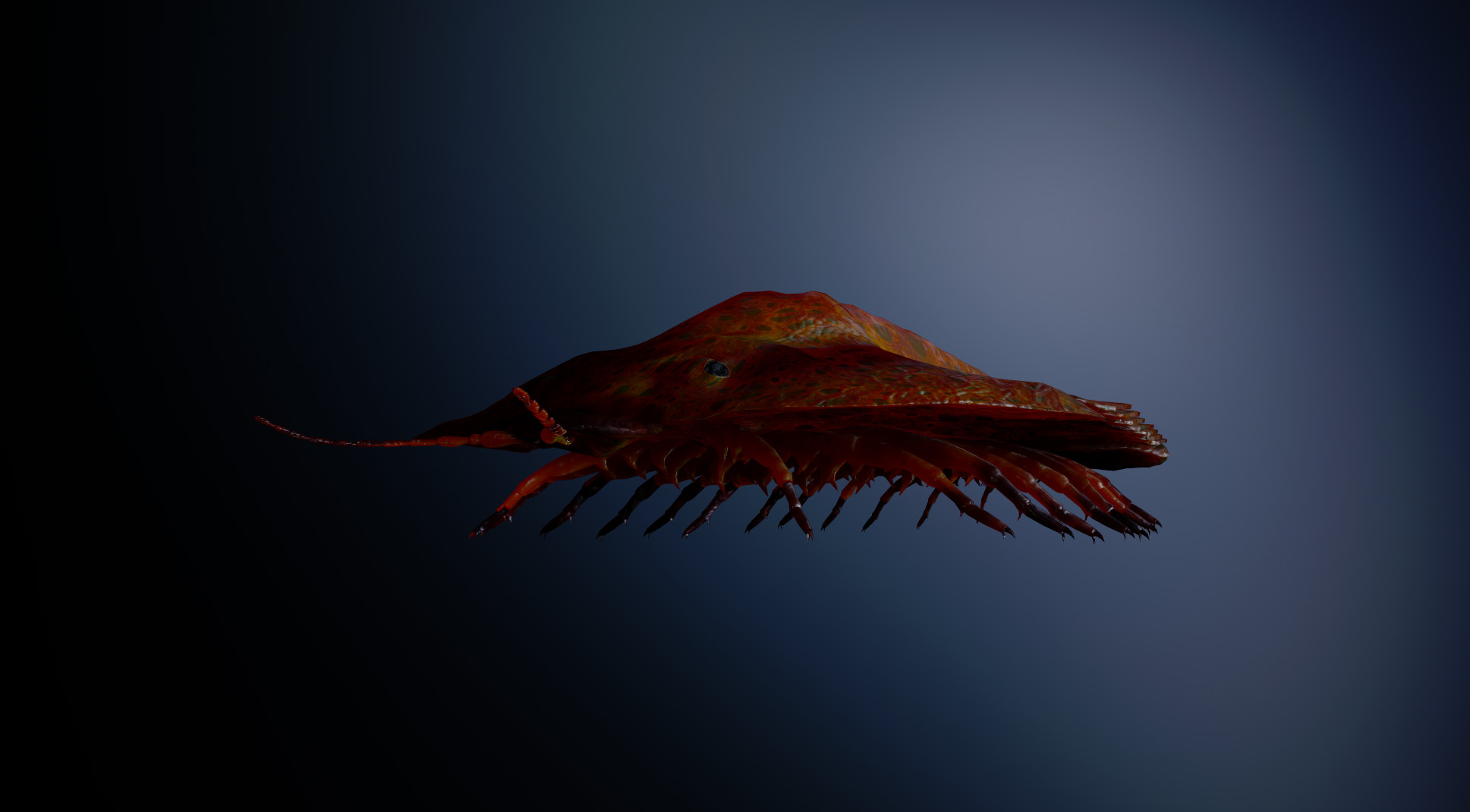 Lead/Senior 3D Gneralist - Kuamaia Lata