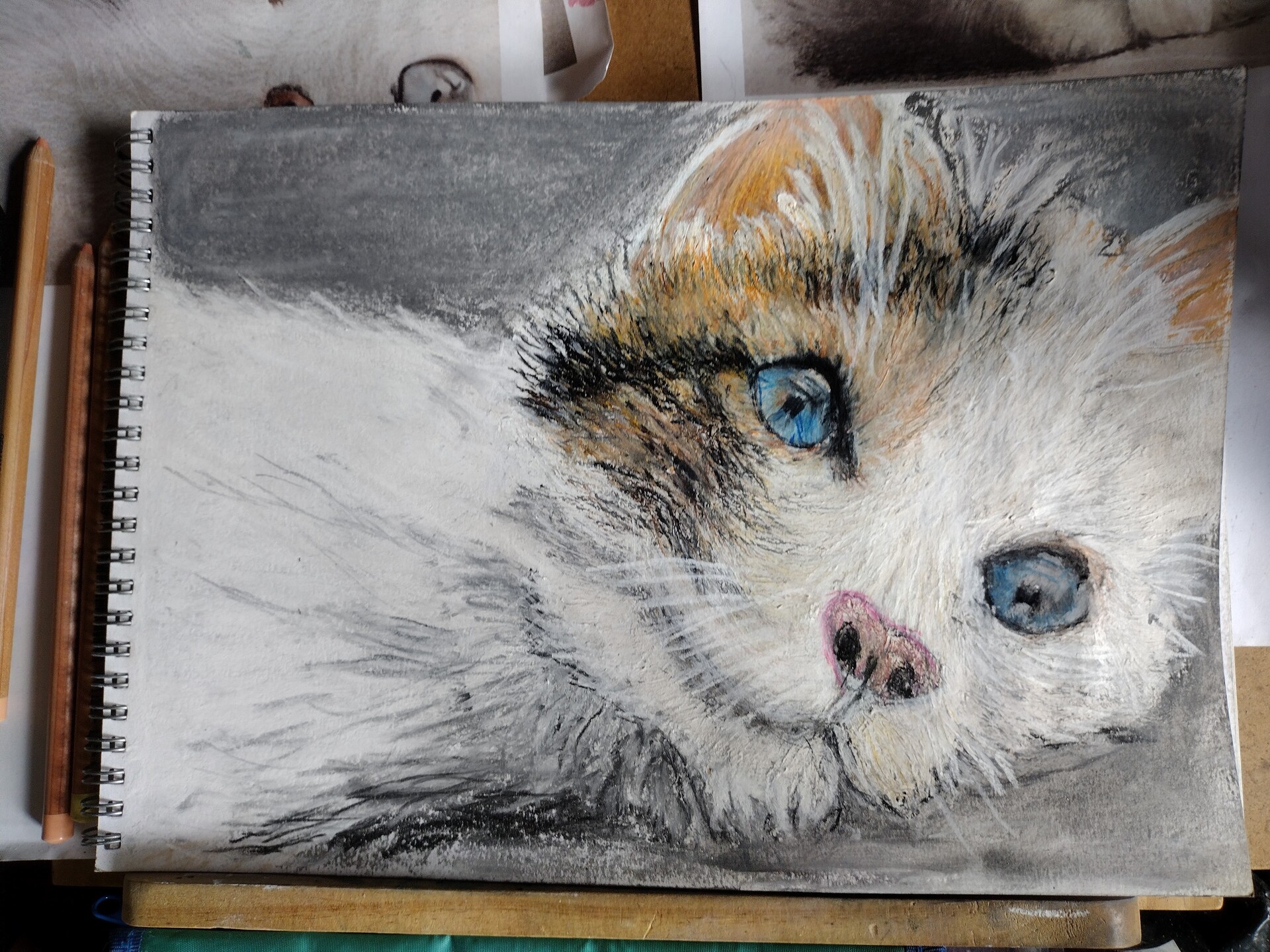 how to draw a cat with pastels