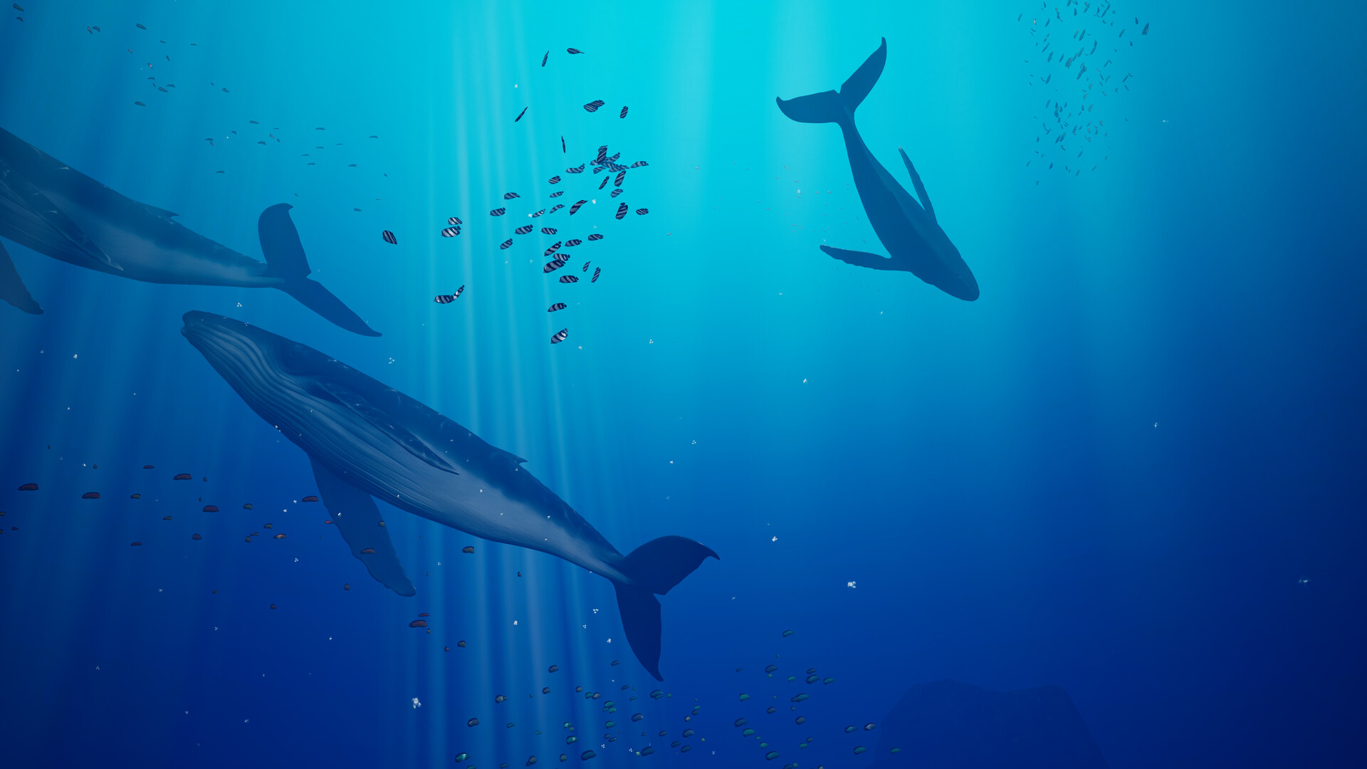 Austin Wolfe - The Journey---Master's Project