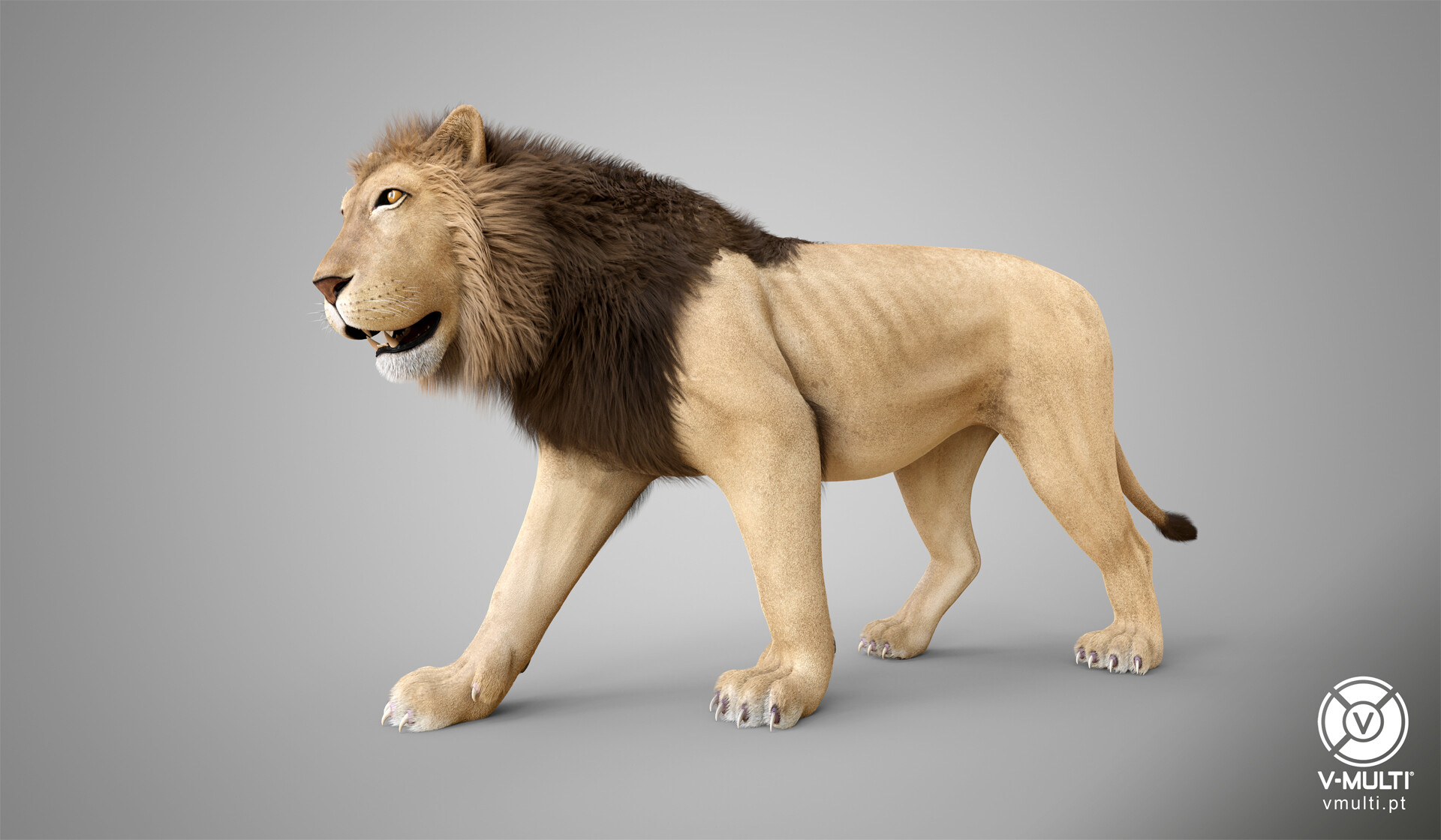 ArtStation - Lion 3D Model