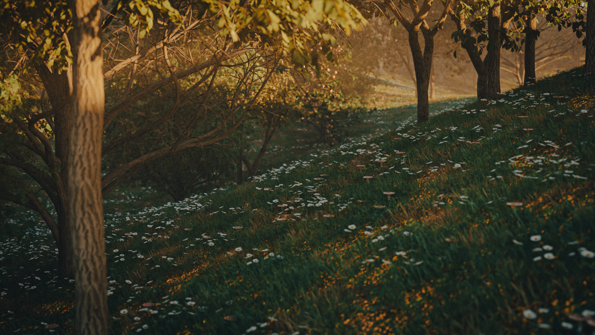 ArtStation - Blender Forest Sunrise