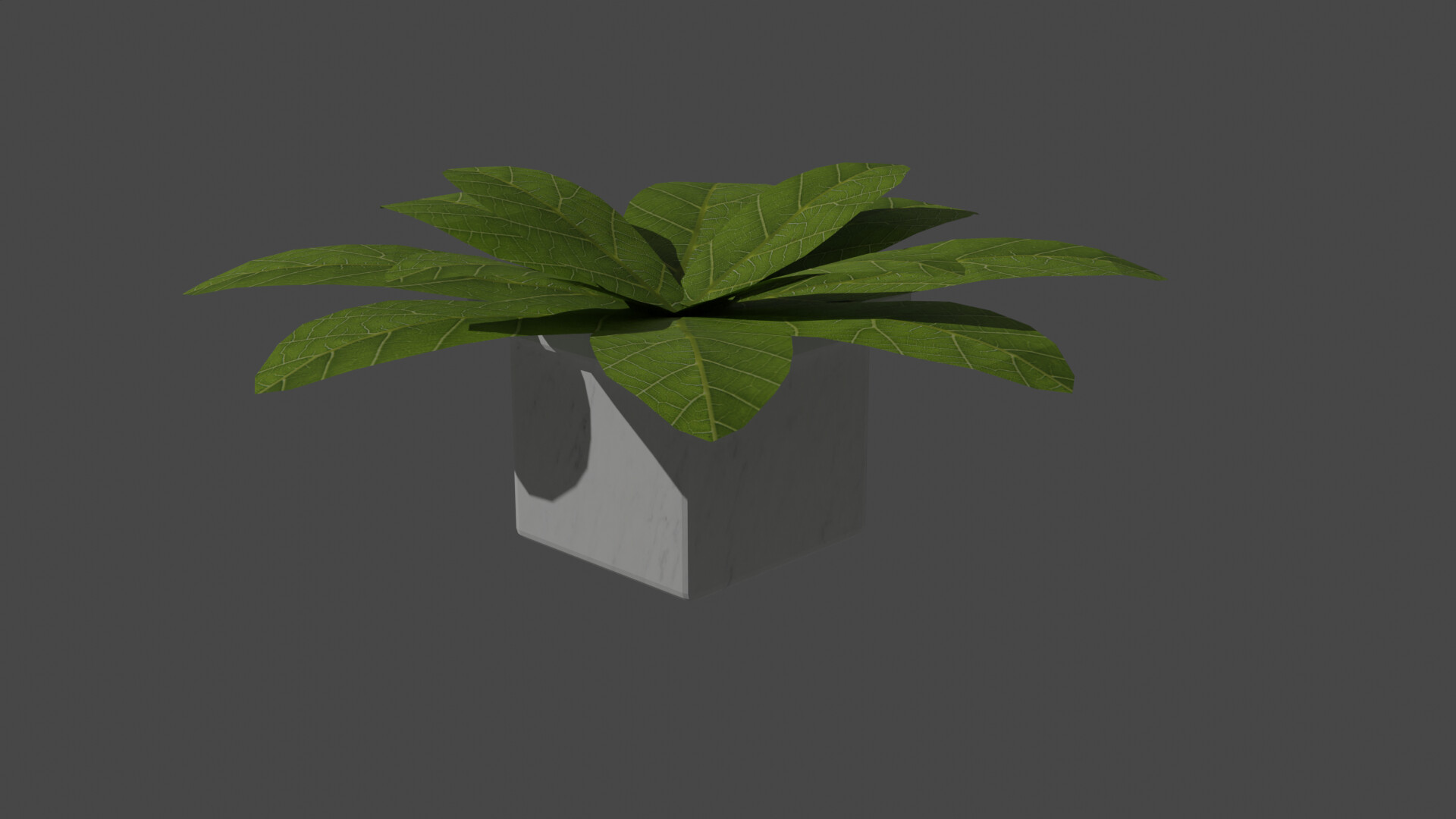 ArtStation - 3D Plant Model