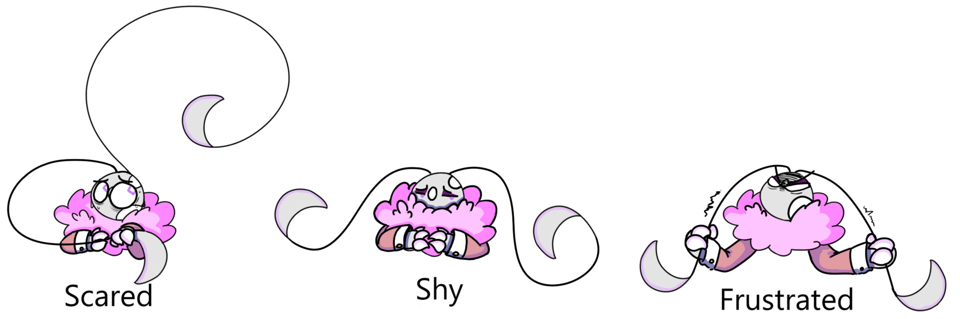 Arnaud Robert - Main pack 2022 Boss