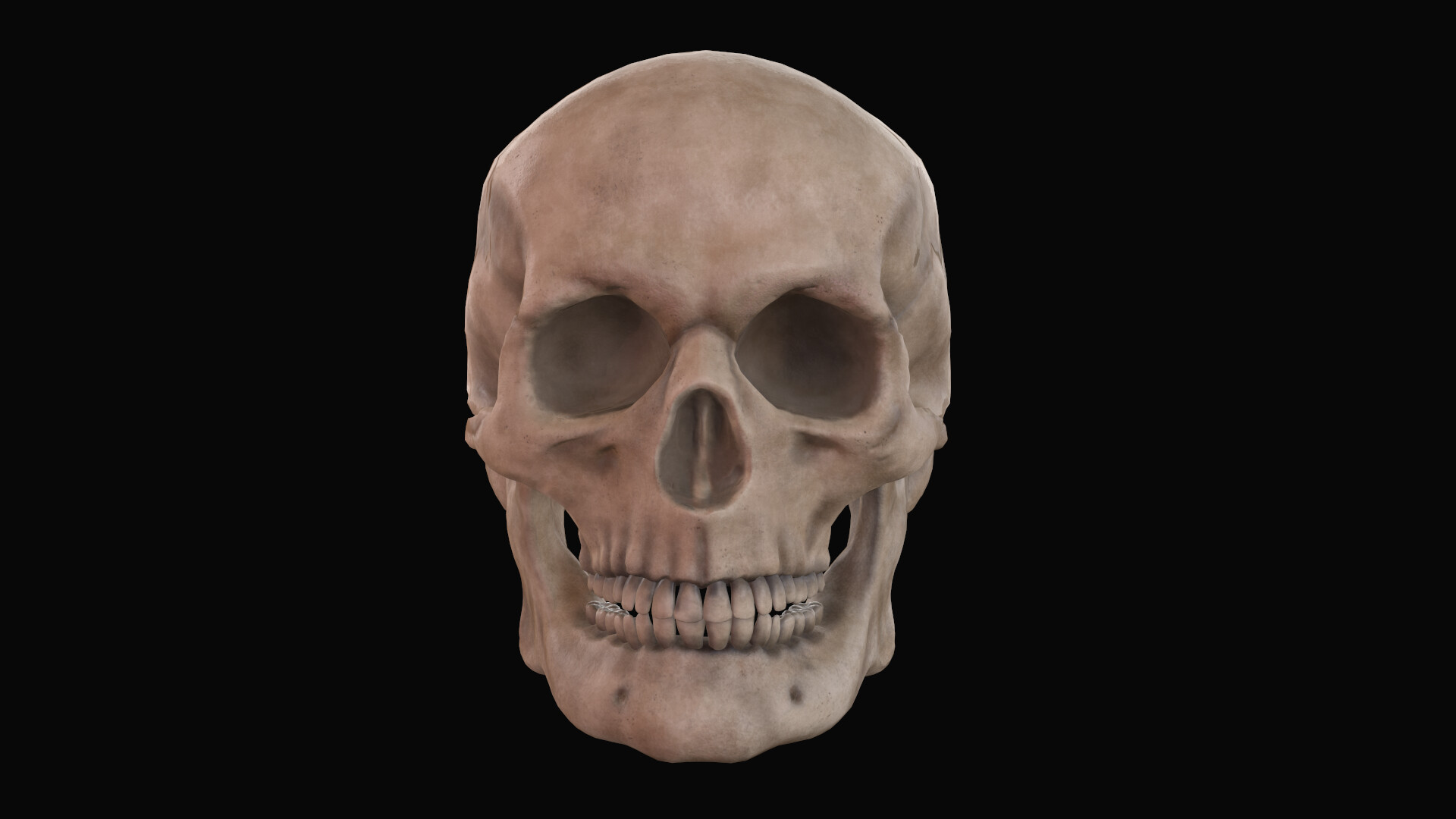 ArtStation - Male Skull