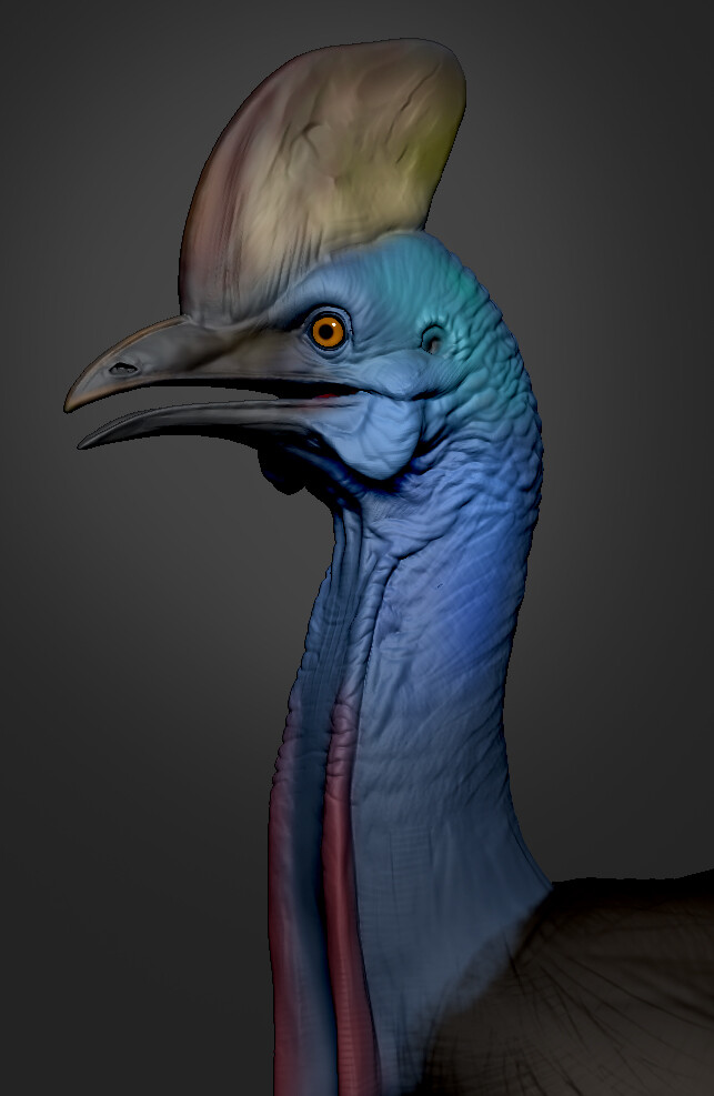 ArtStation - Cassowary