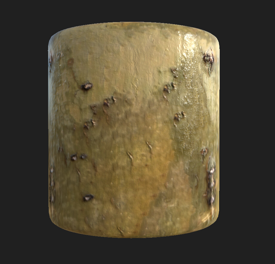 ArtStation - Tree trunk Texture