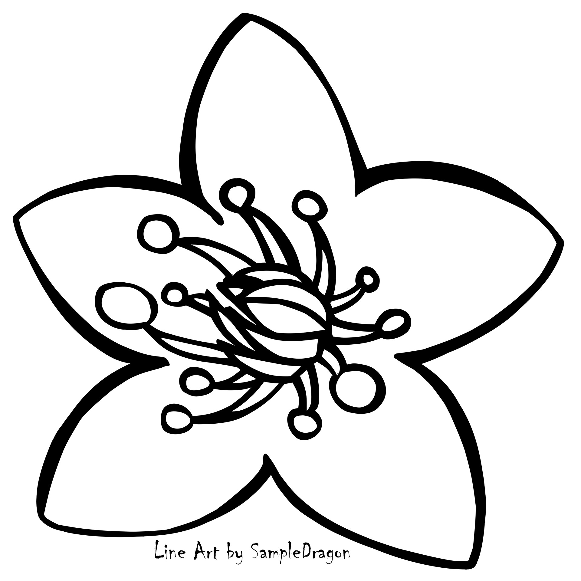 cherry blossom coloring pages free