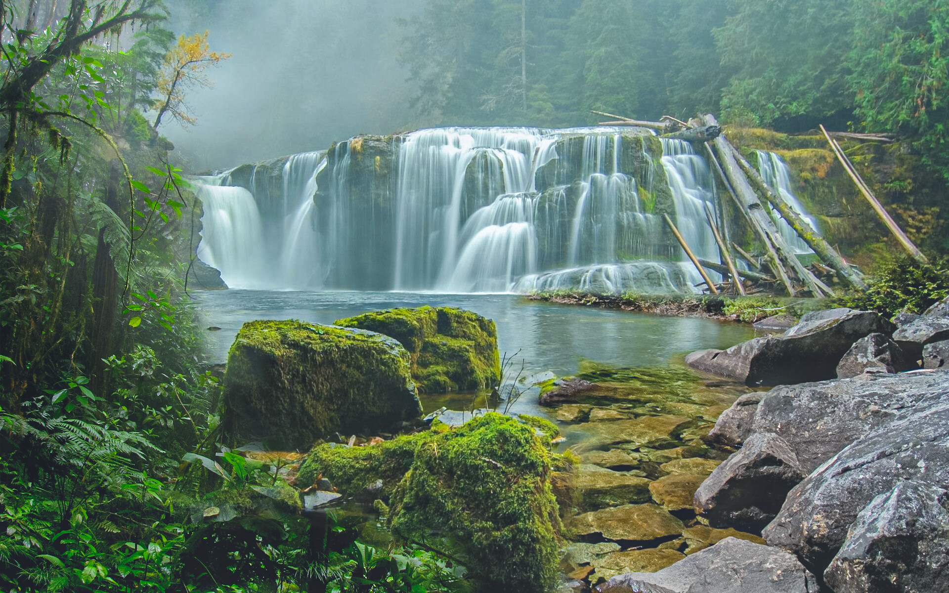 ArtStation - Rain Forest Waterfall