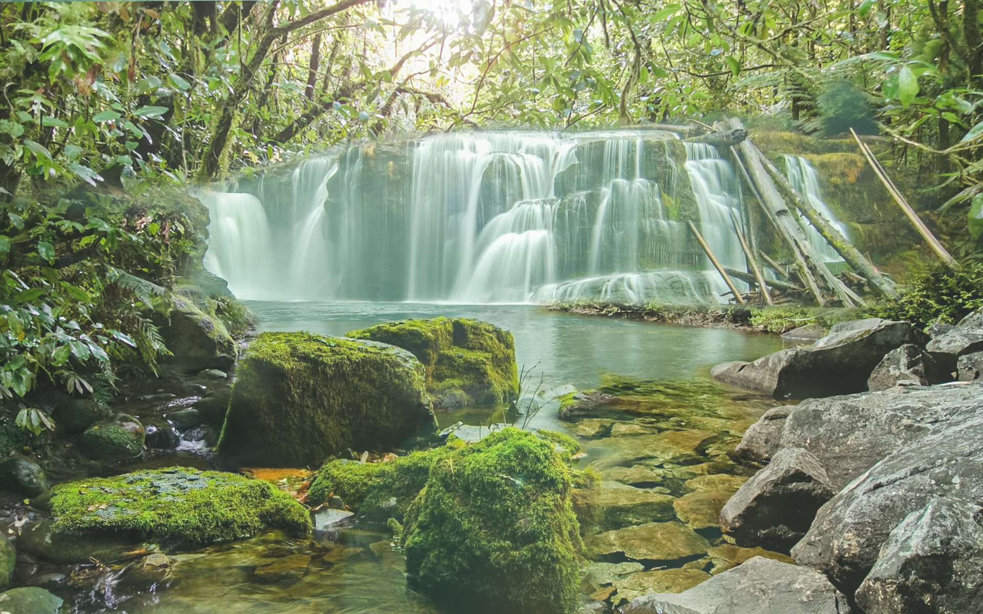 ArtStation - Deep Forest Waterfall