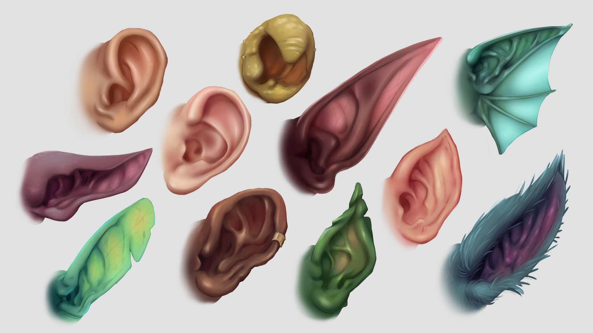 ArtStation - Ears studies