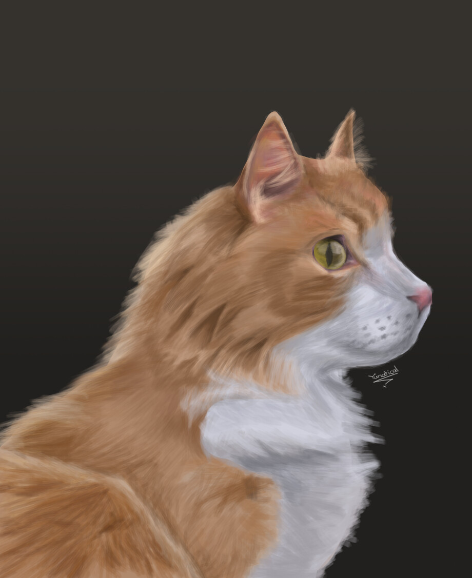 ArtStation - Haku the cat